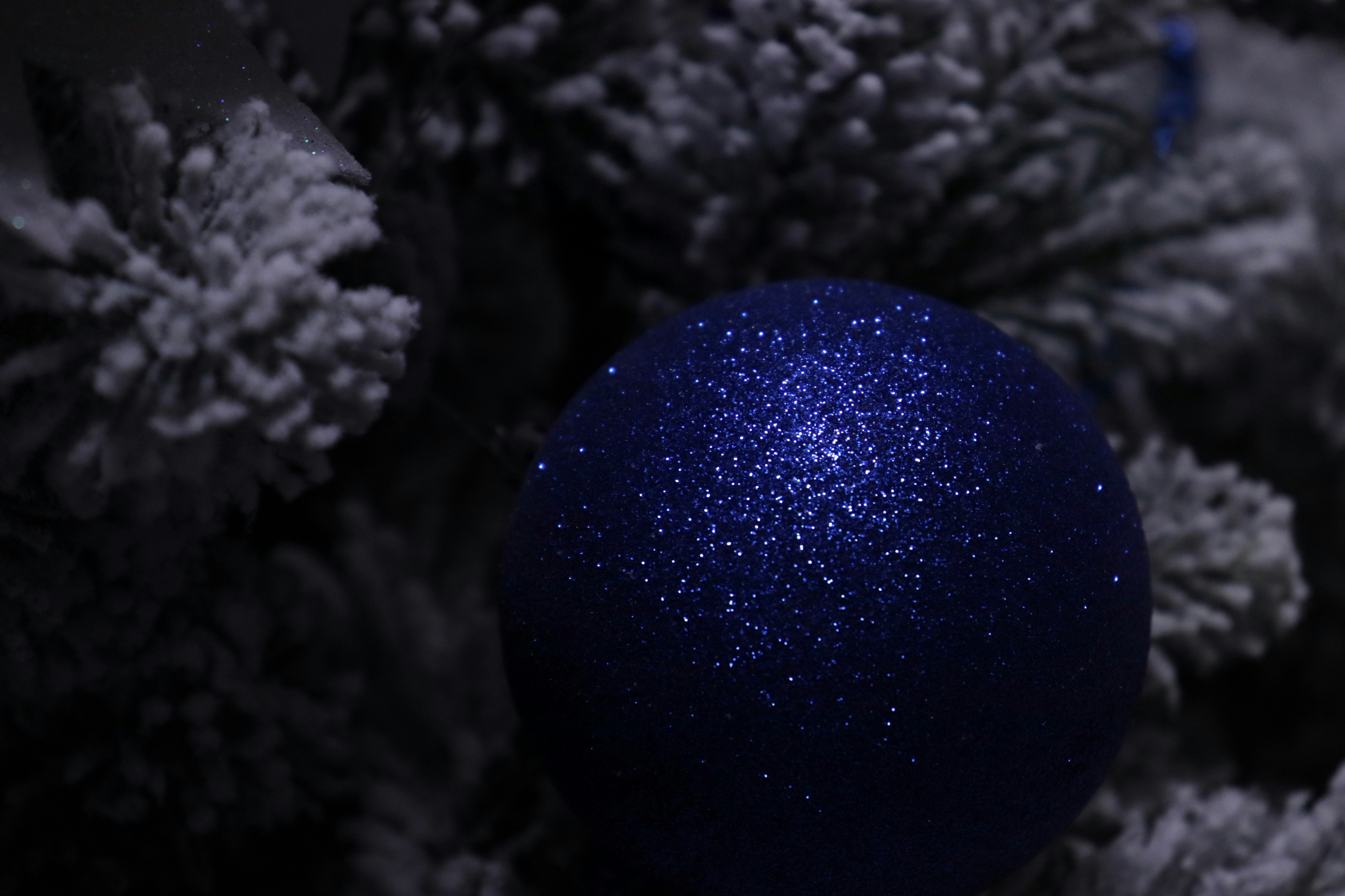 Blue Ornament in Quiet Midnight Fir
