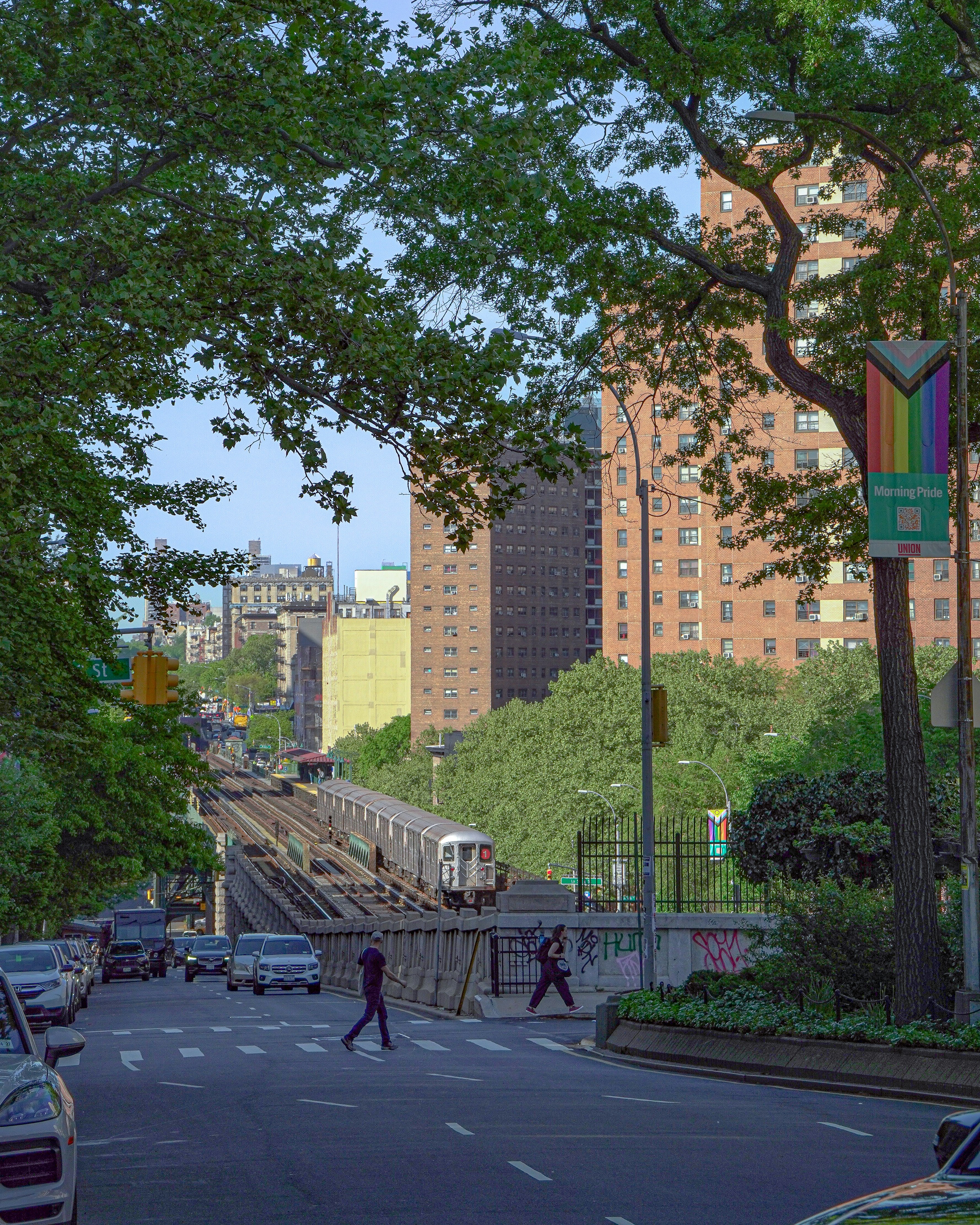 Urban Rails at Dusk: A City Street Framed by Green Canopies