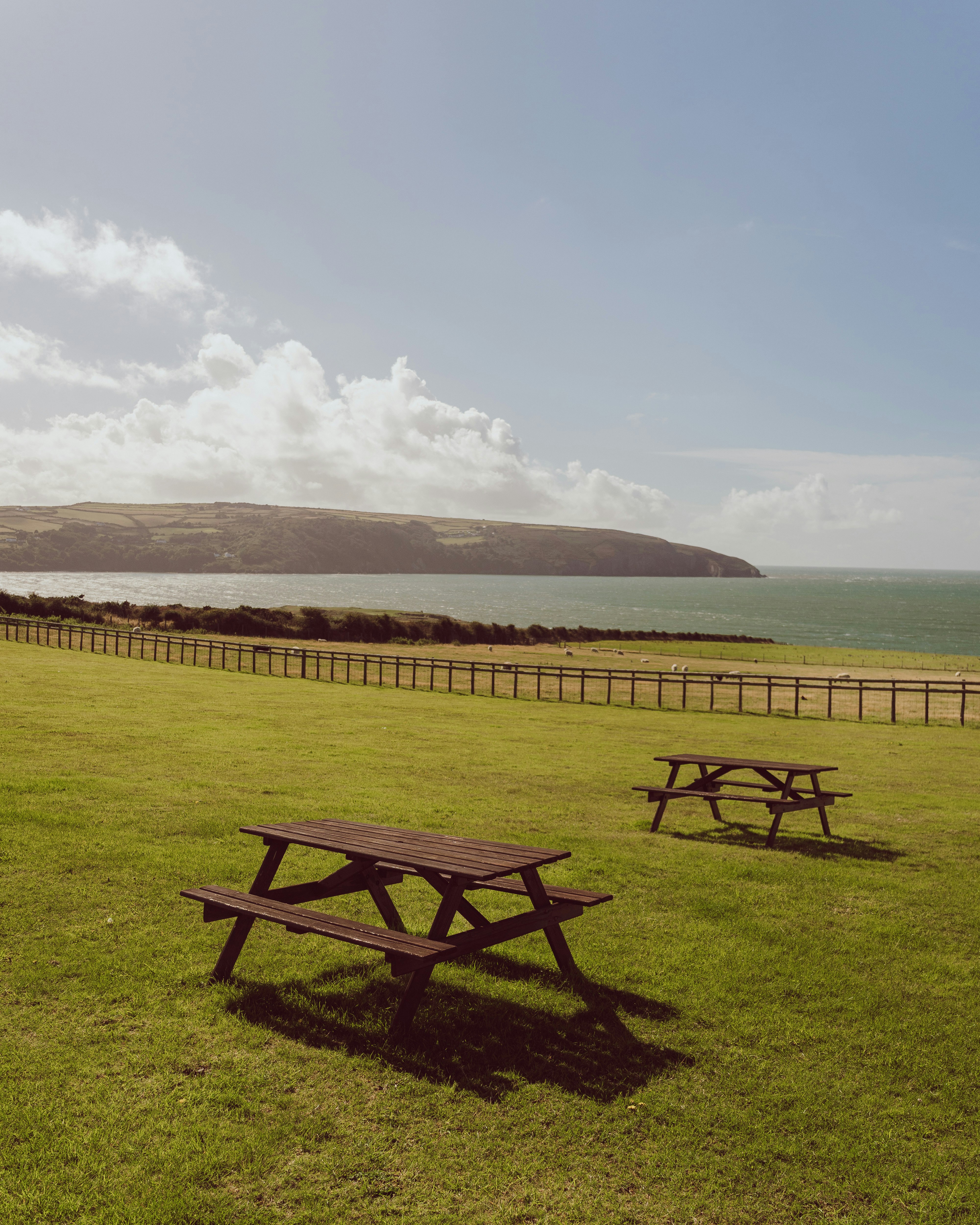 Seaside Clearing: Picnic Tables Beneath Open Sky