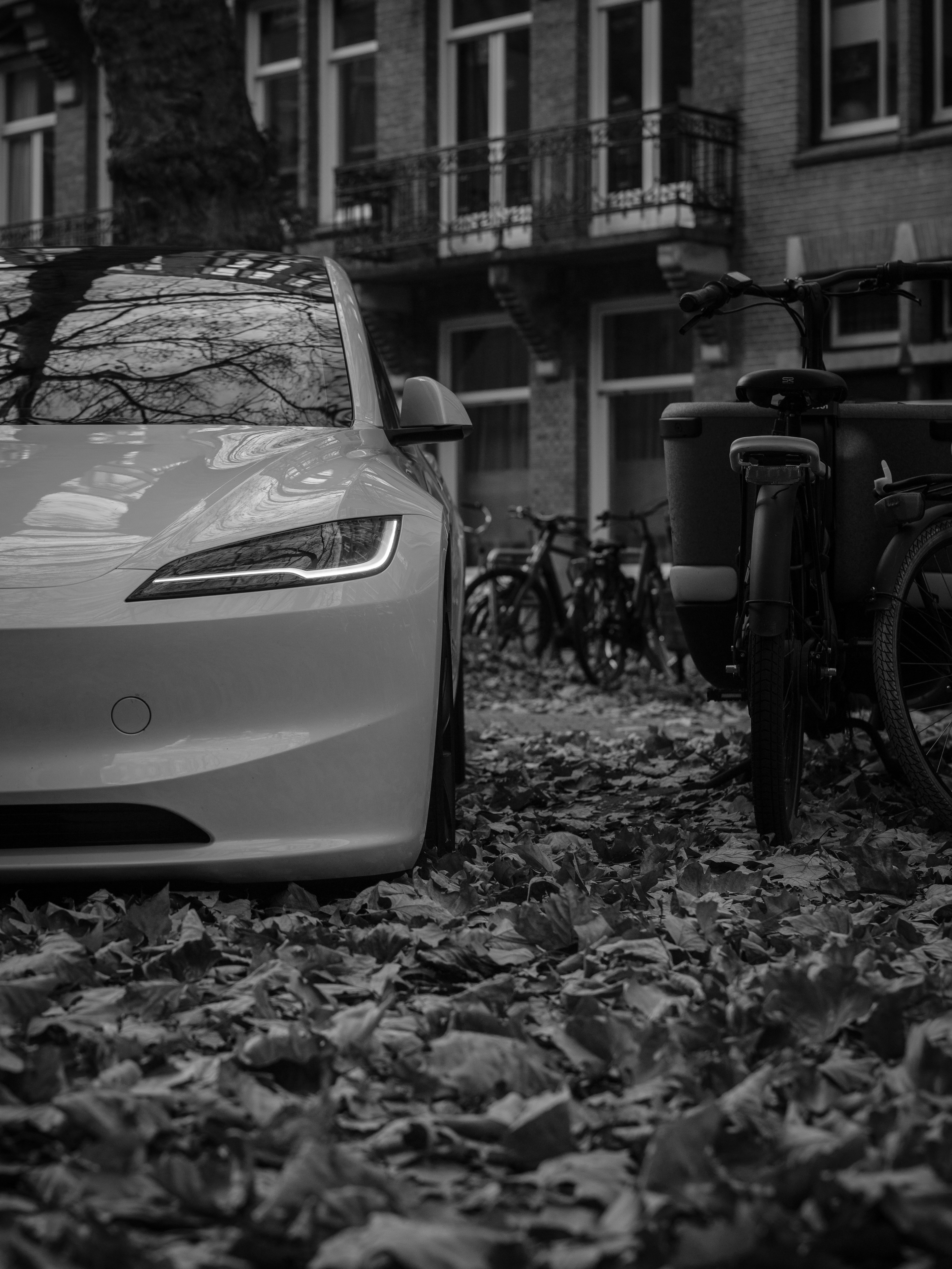 Electric stillness: a car and bicycles tucked under autumn leaves
