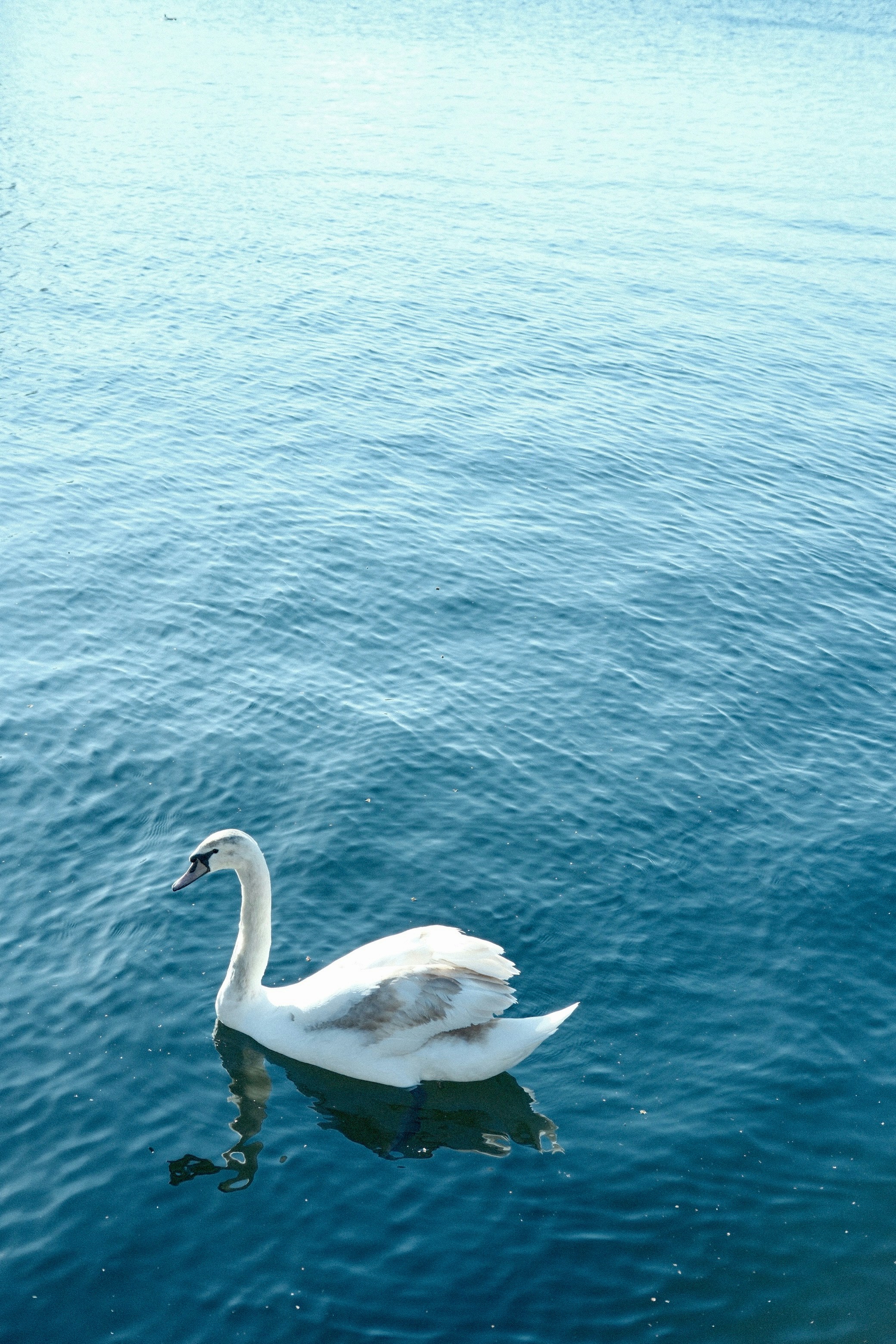 Photo by Morgane Vanmuysewinkel with Fujifilm X-M5