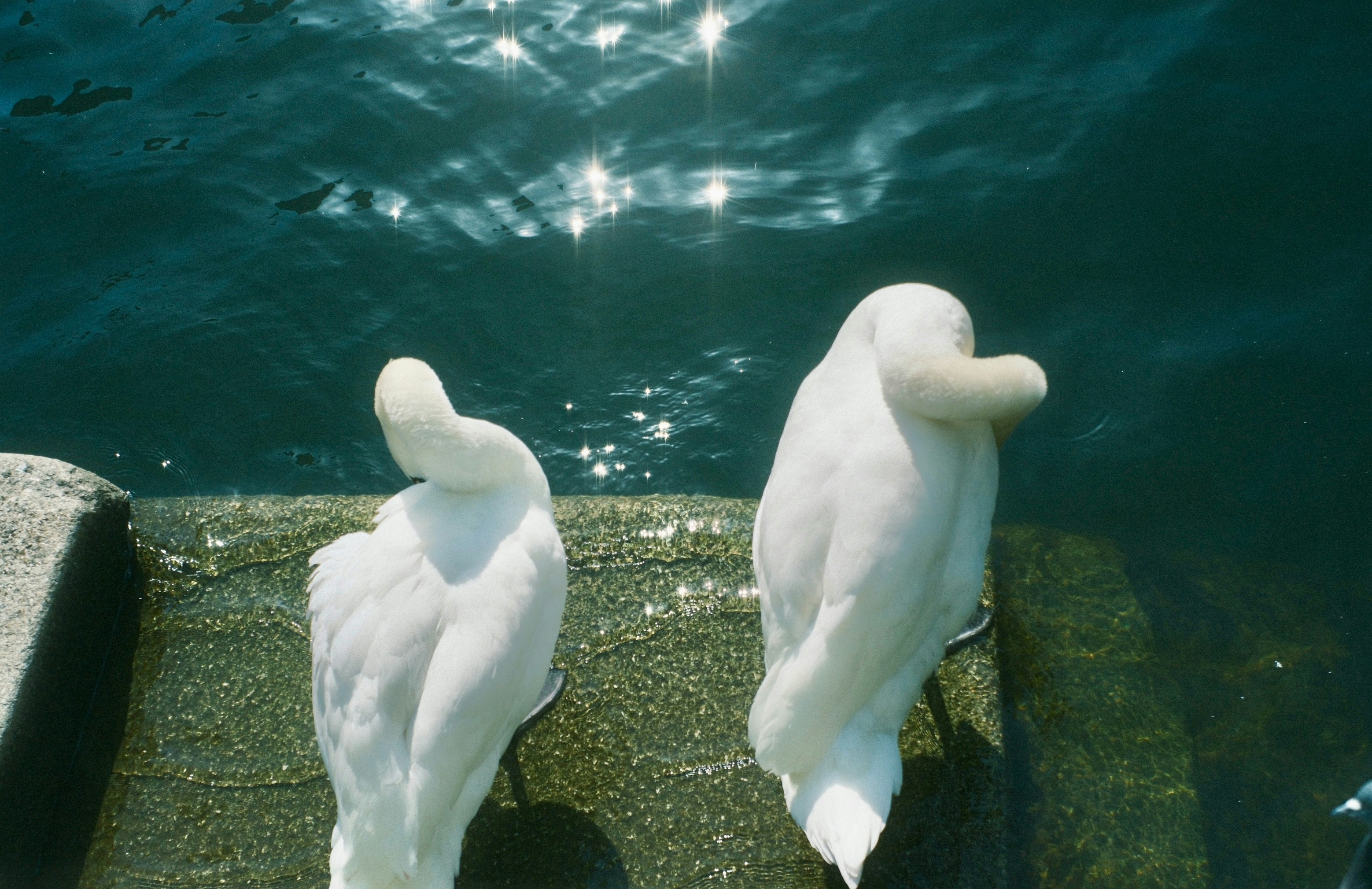 Photo by Morgane Vanmuysewinkel with Fujifilm X-M5