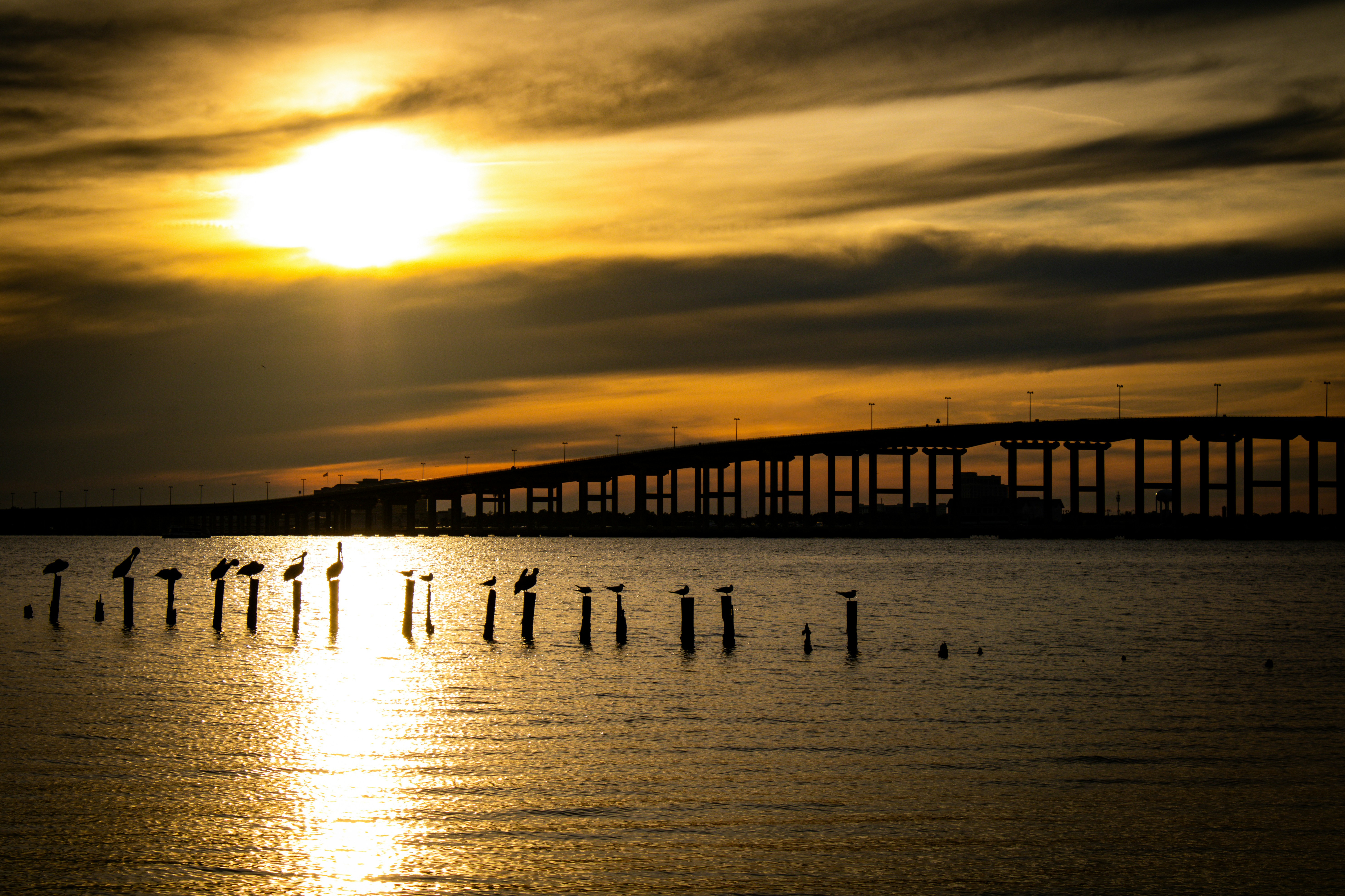 Golden Hour Over the Pier: Silhouettes and Light