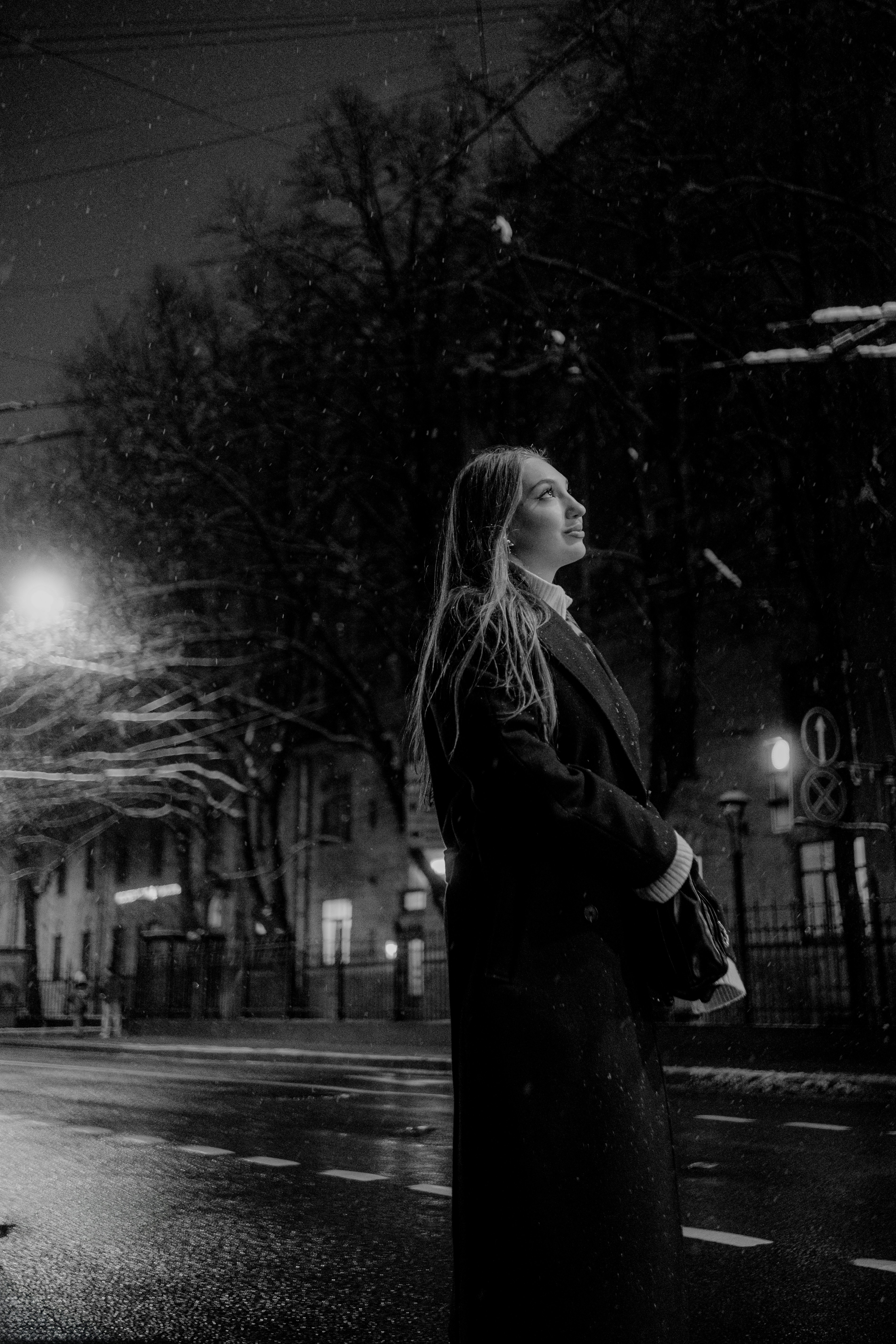 Night Susurrus: A Portrait Under Falling Snow
