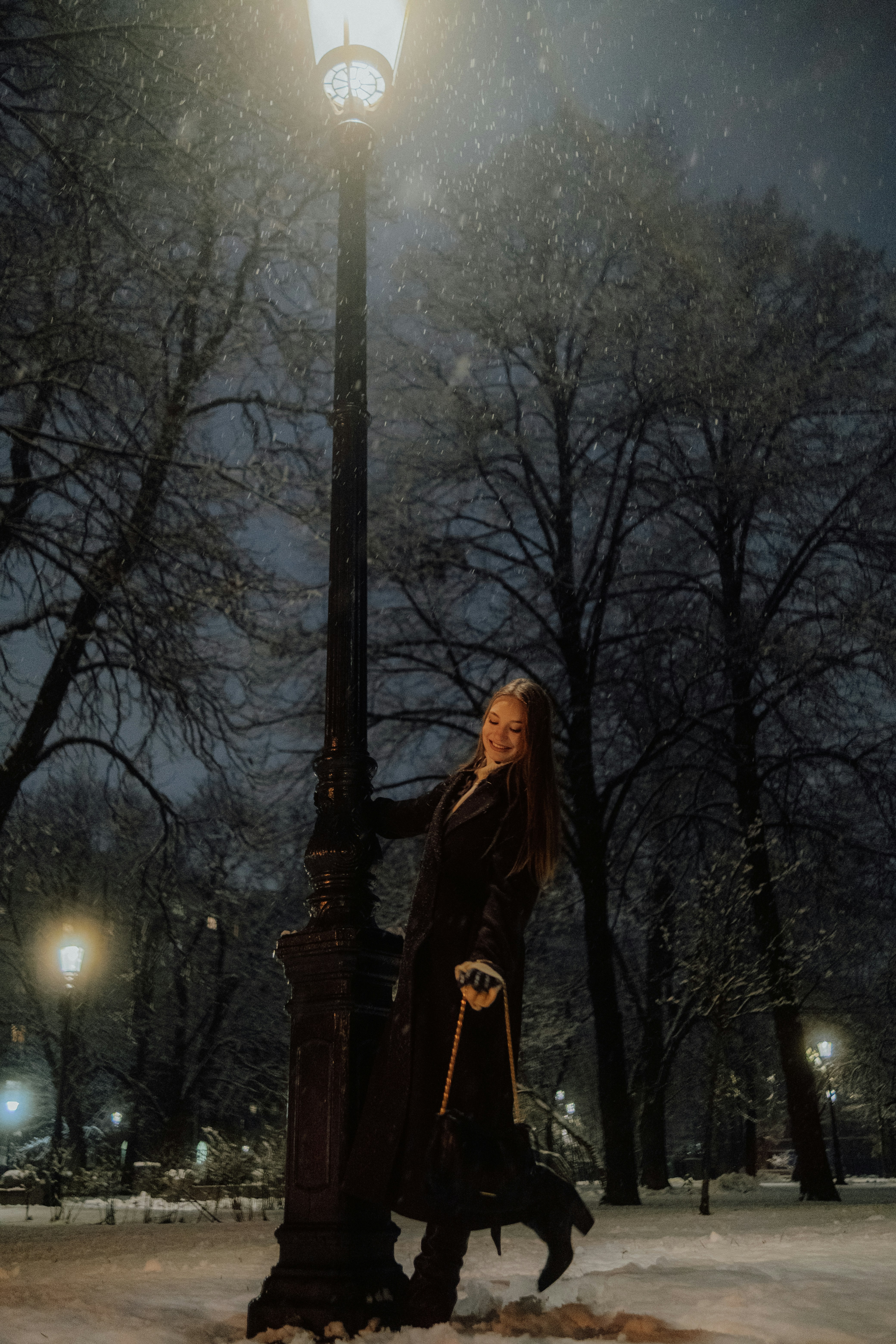Gleaming Lanterns and Silent Snow: A Night Stroll in the Park