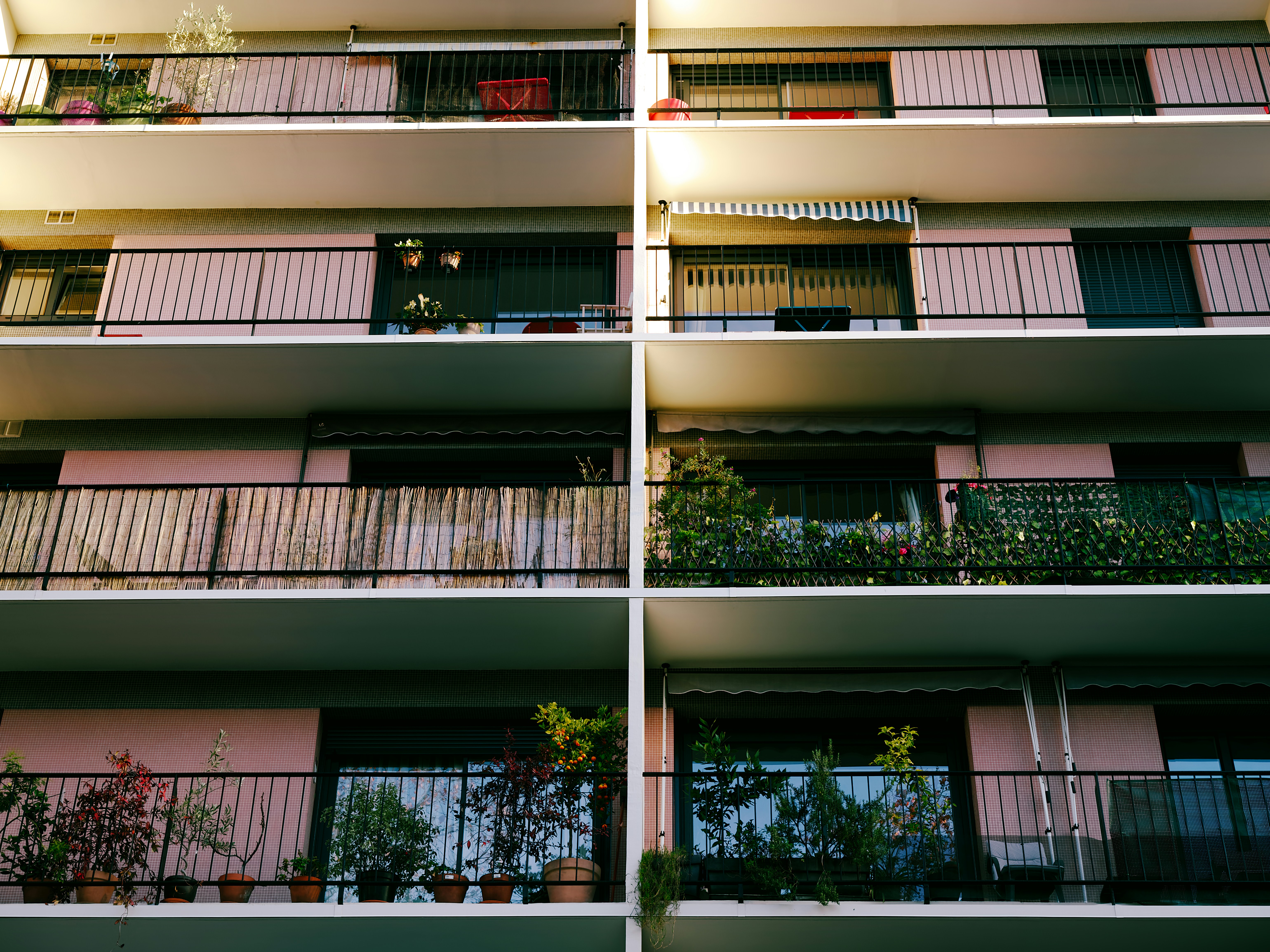 Sunlit Balconies: A Vertical Patchwork of Living Spaces