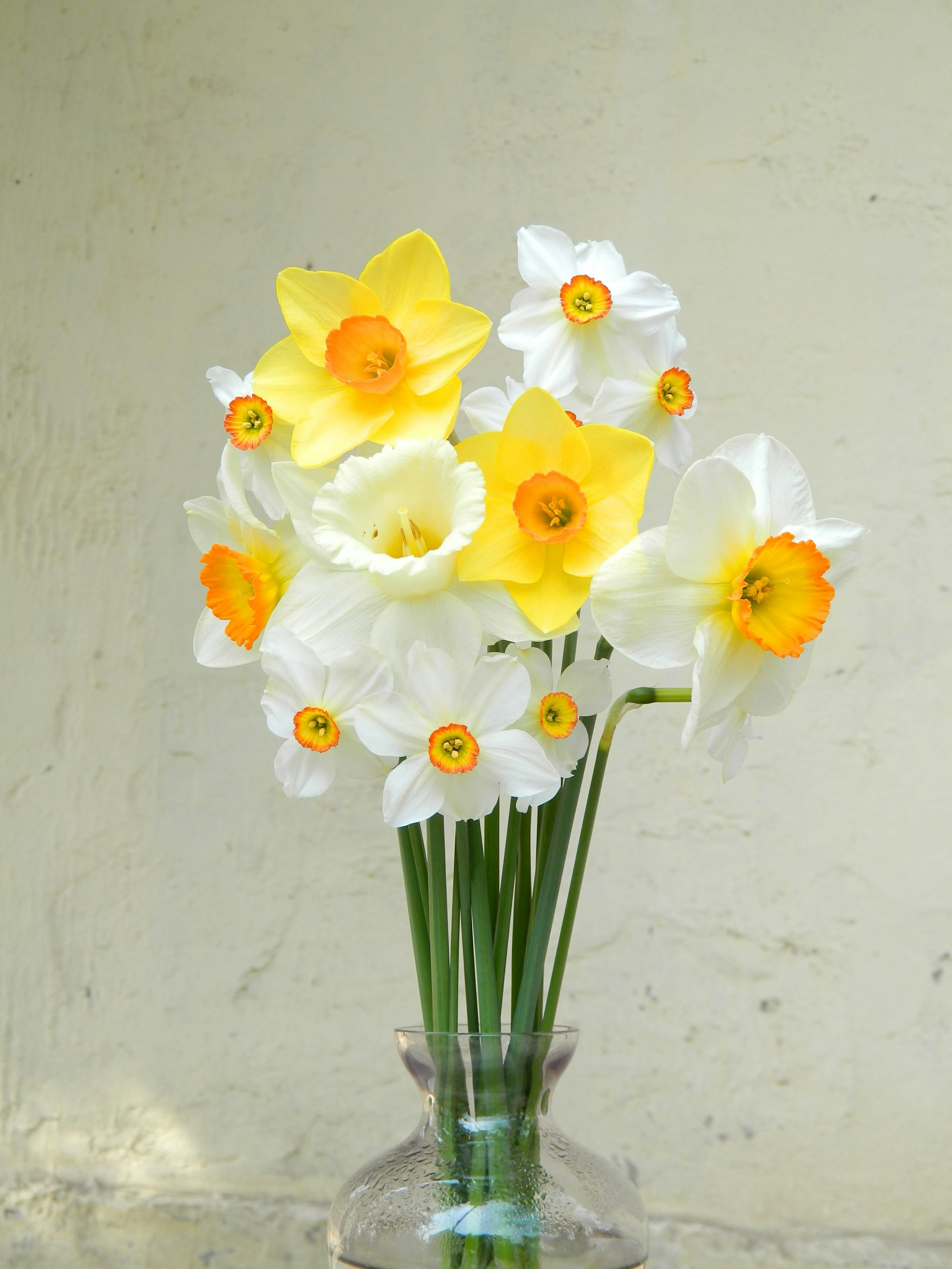 Photo by Madish Radish with Nikon Coolpix L120