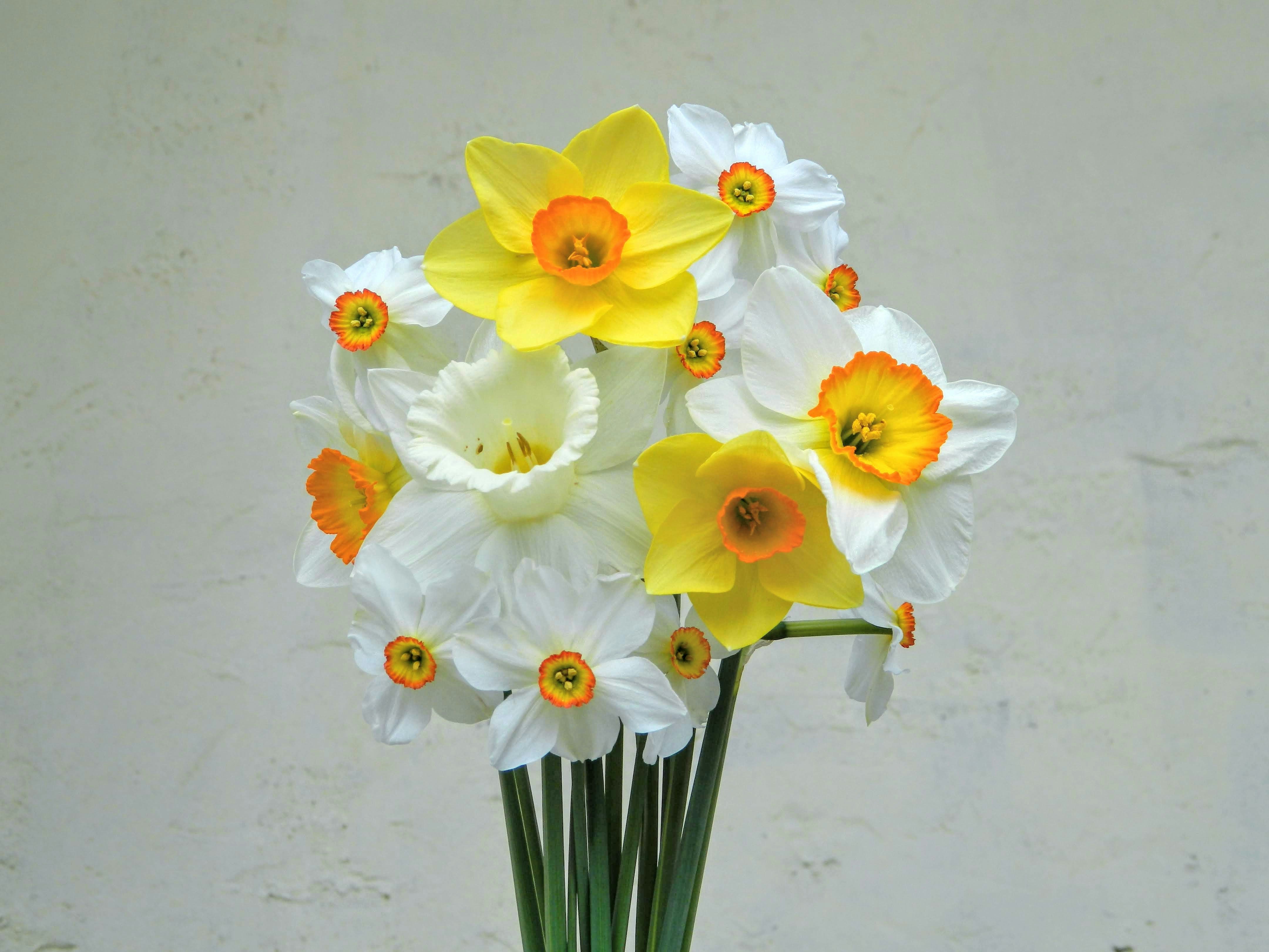 Photo by Madish Radish with Nikon Coolpix L120