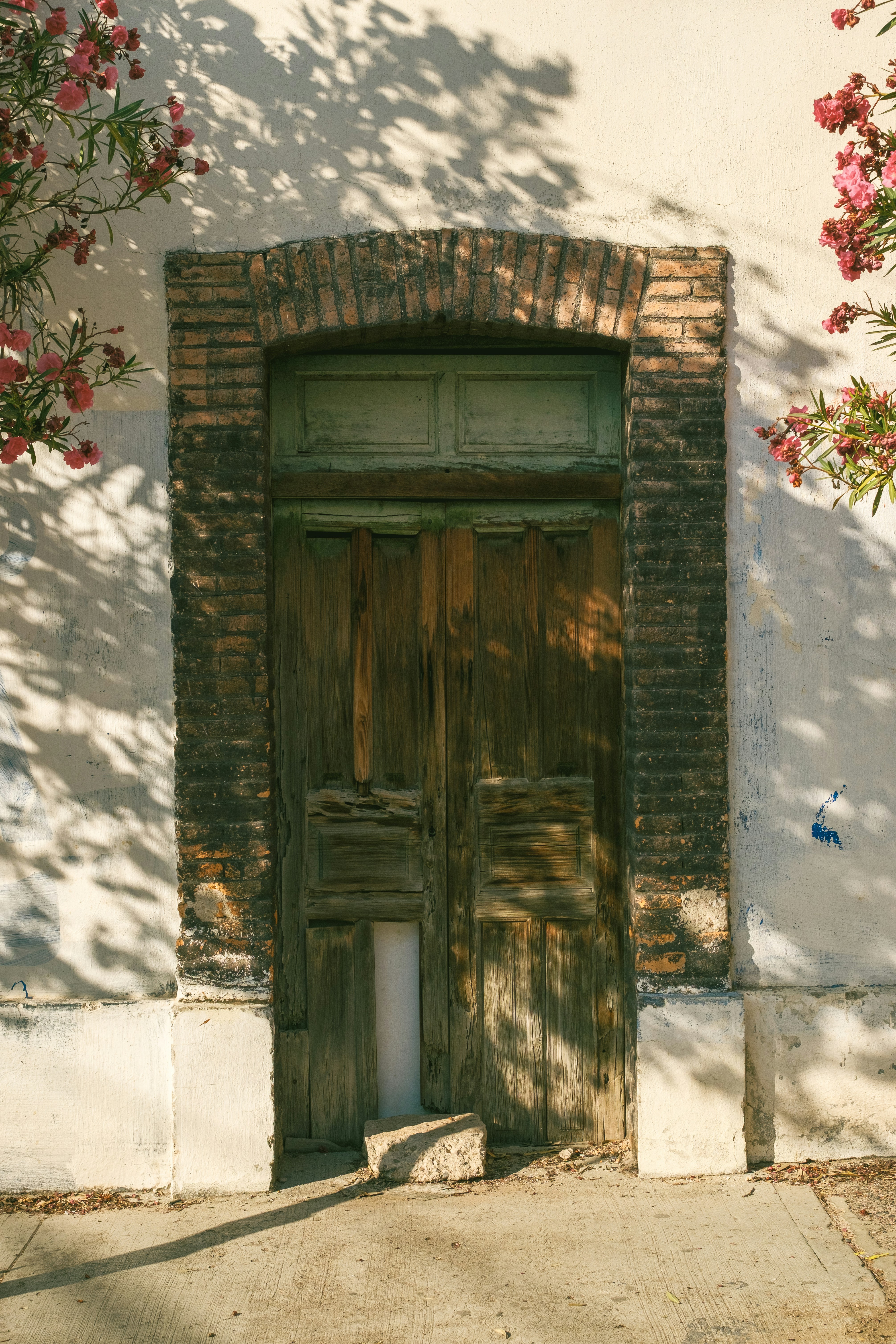 Photo by Alex Quezada with Fujifilm X-S20