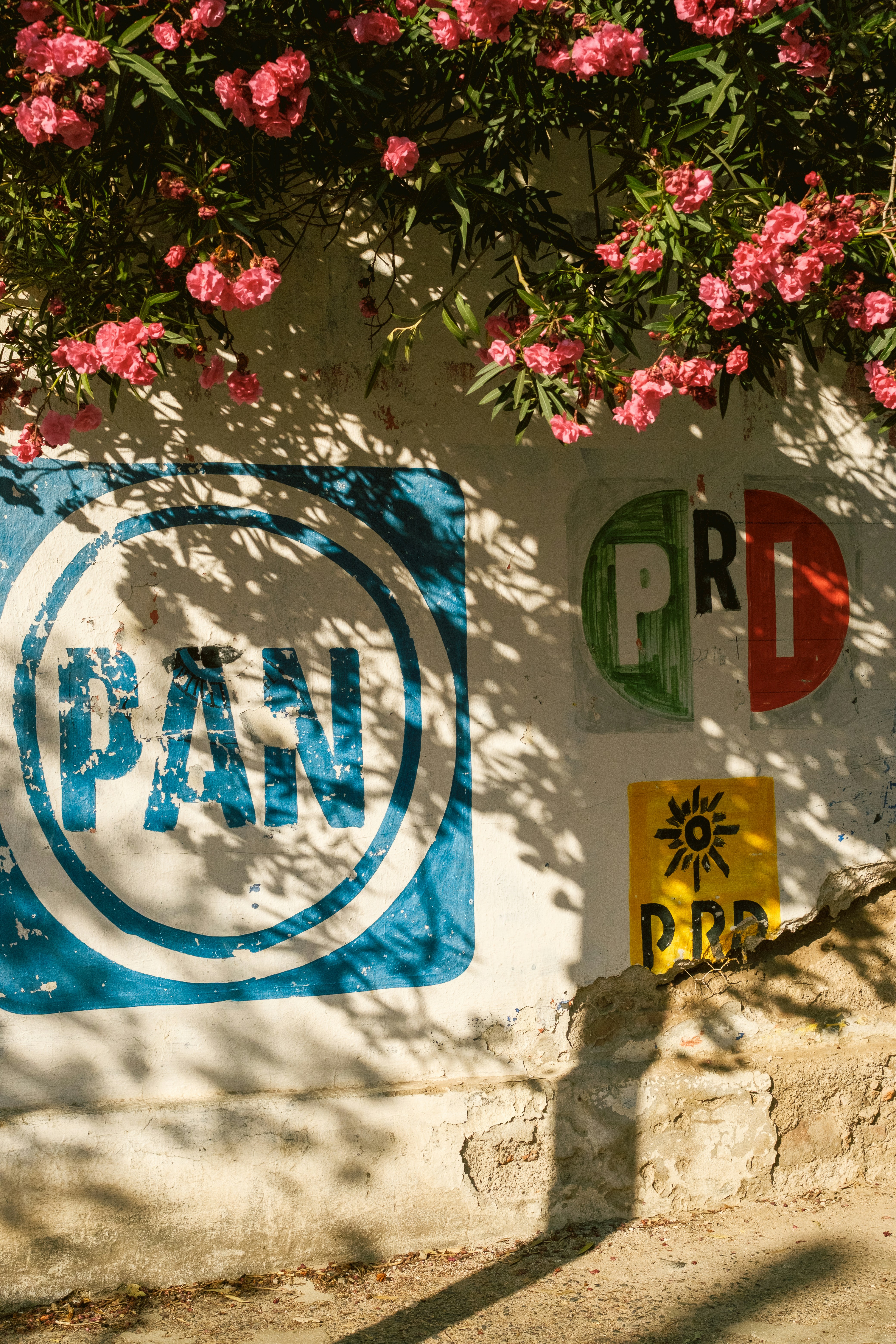 Photo by Alex Quezada with Fujifilm X-S20