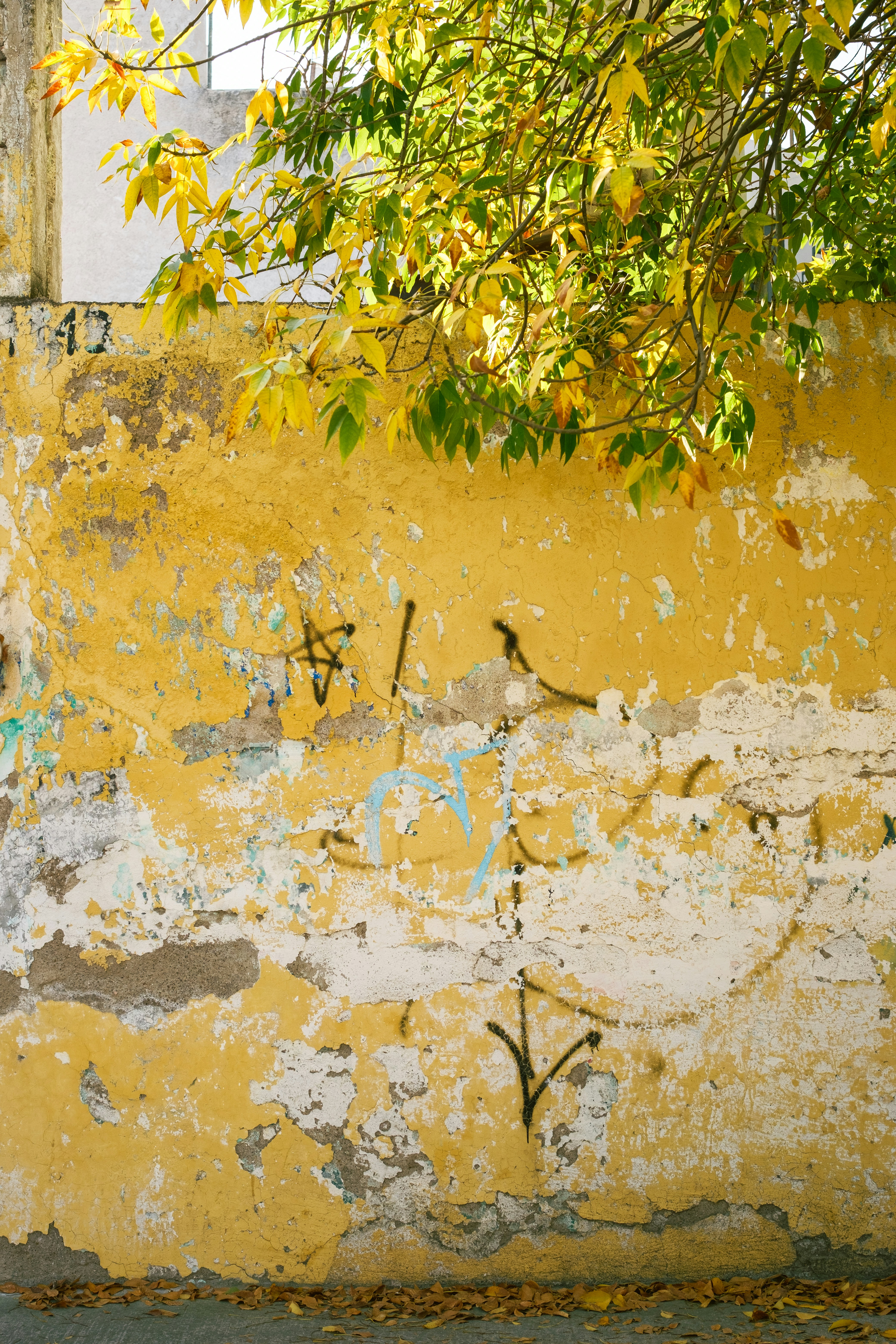 Photo by Alex Quezada with Fujifilm X-S20