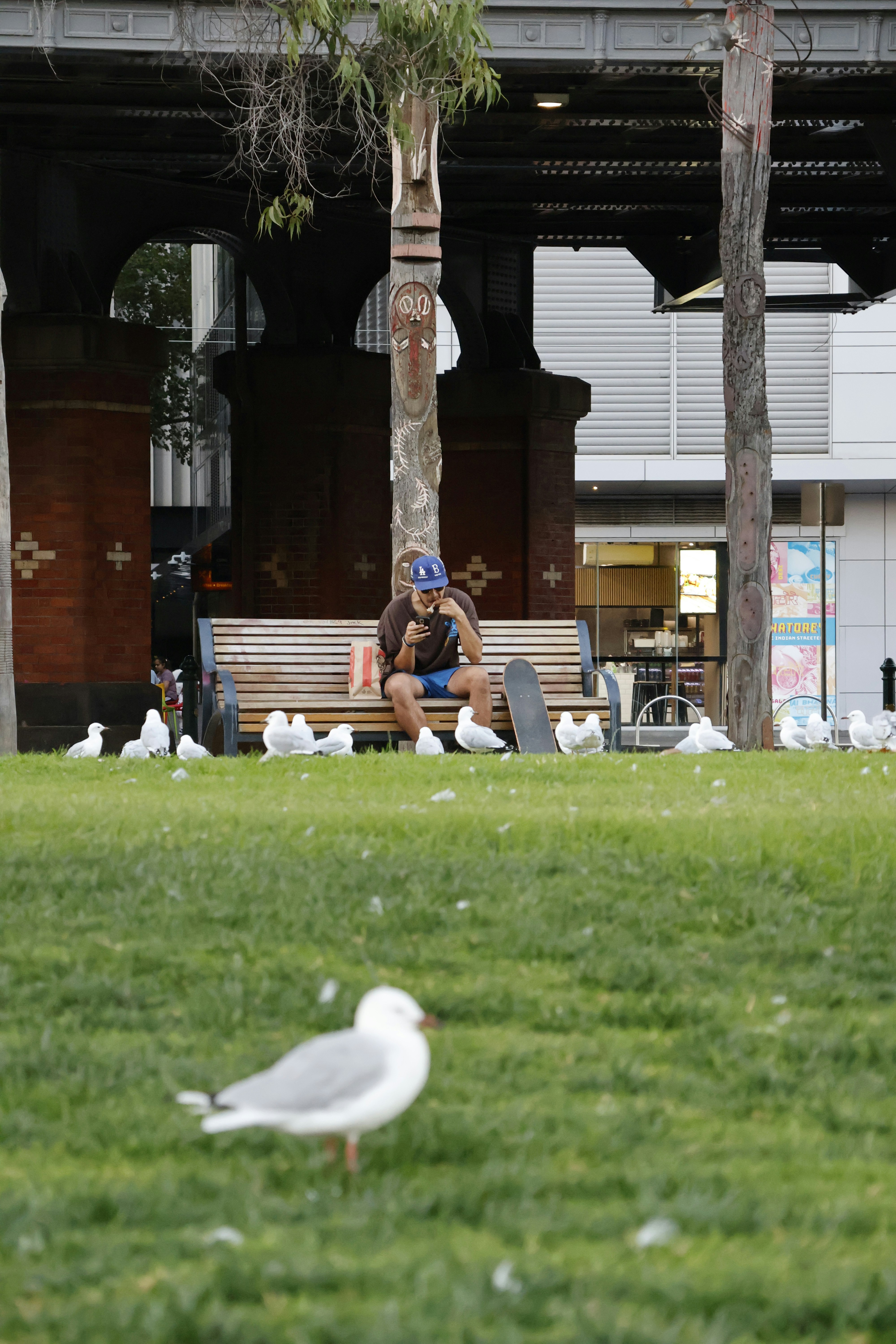 Skateboarder in Waiting Park: A Quiet Moment Beneath the Bridge