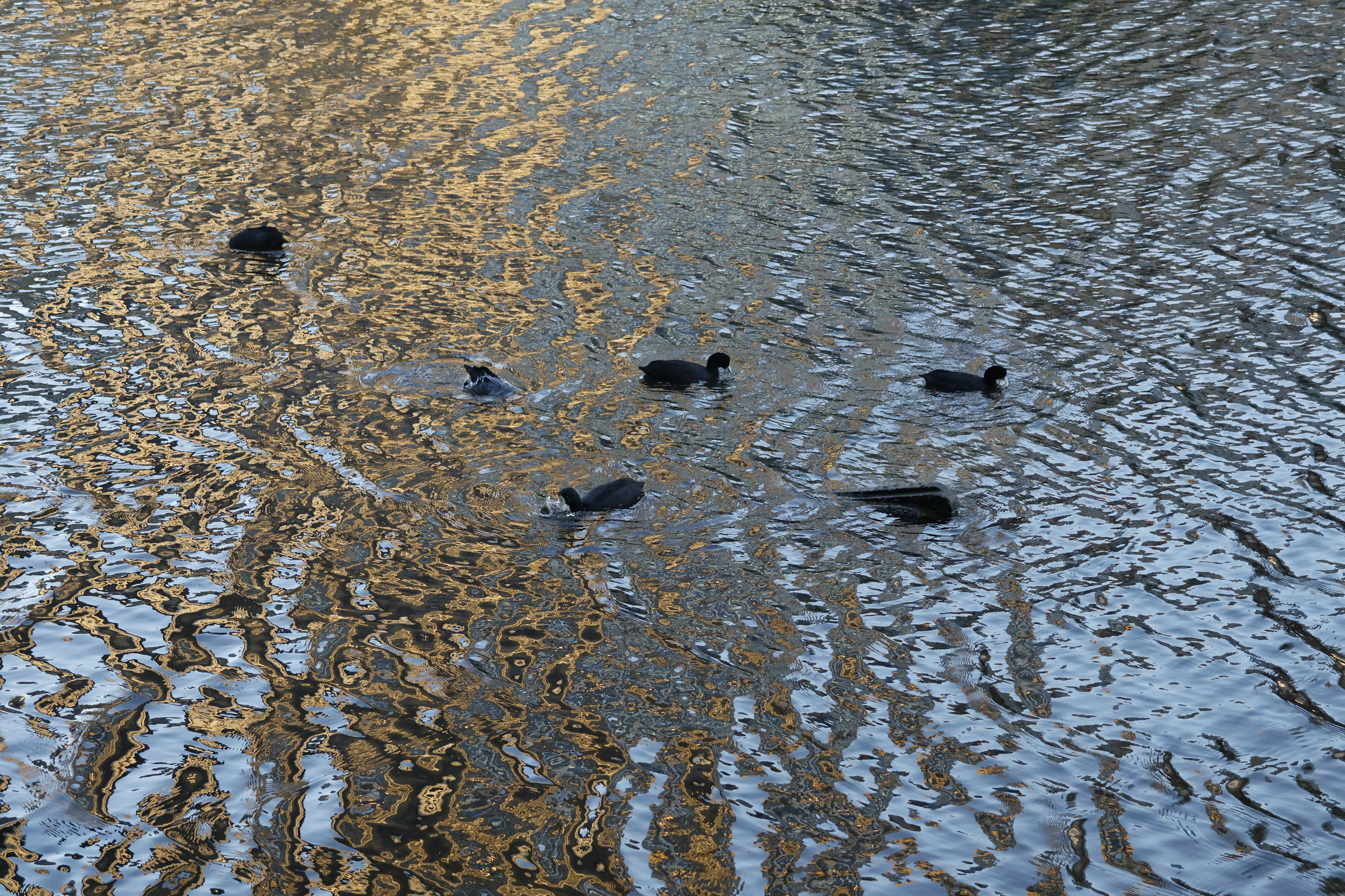 Photo by You Le with Canon EOS R10