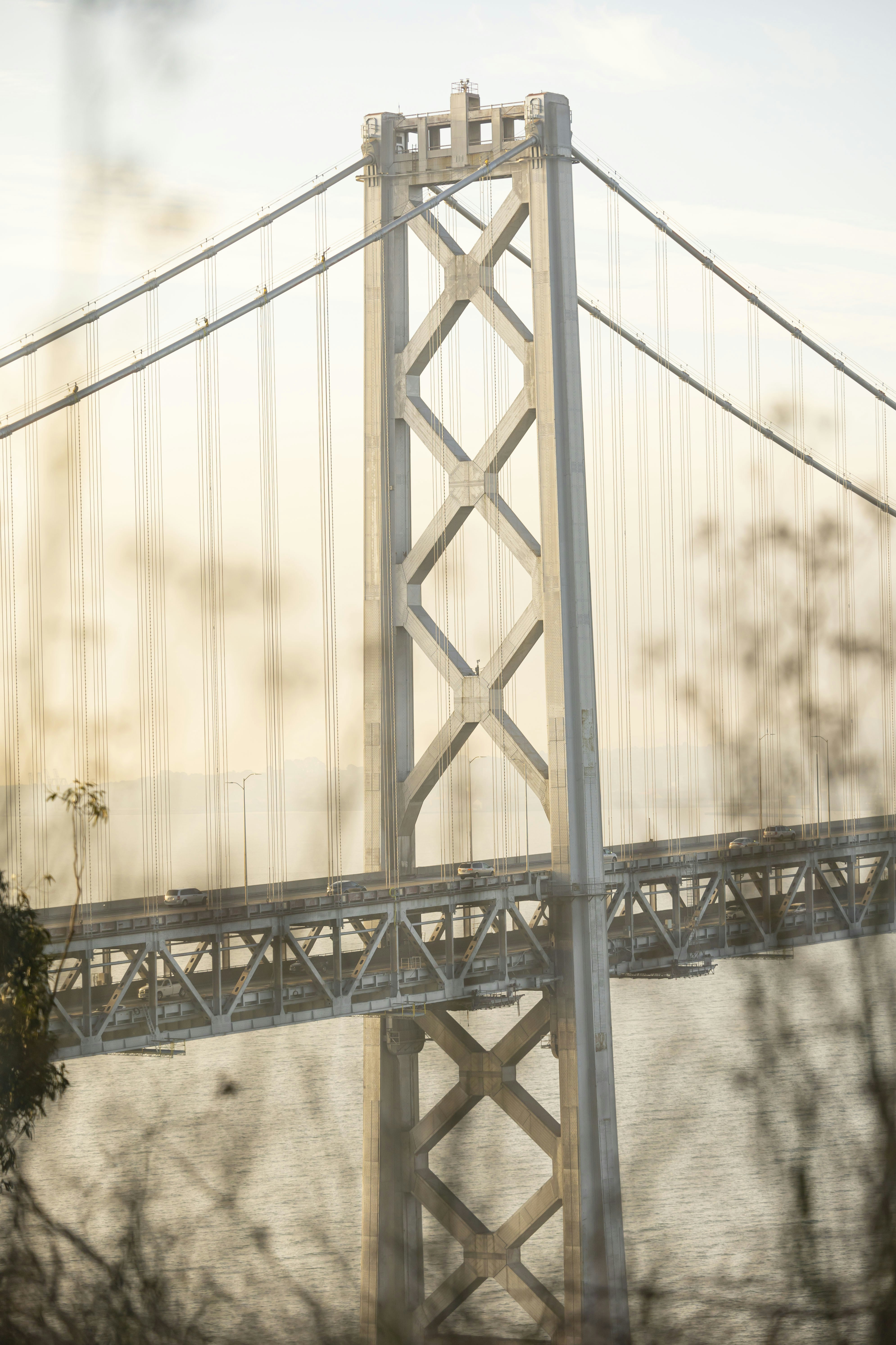 Photo by Leo_Visions with Canon EOS R3