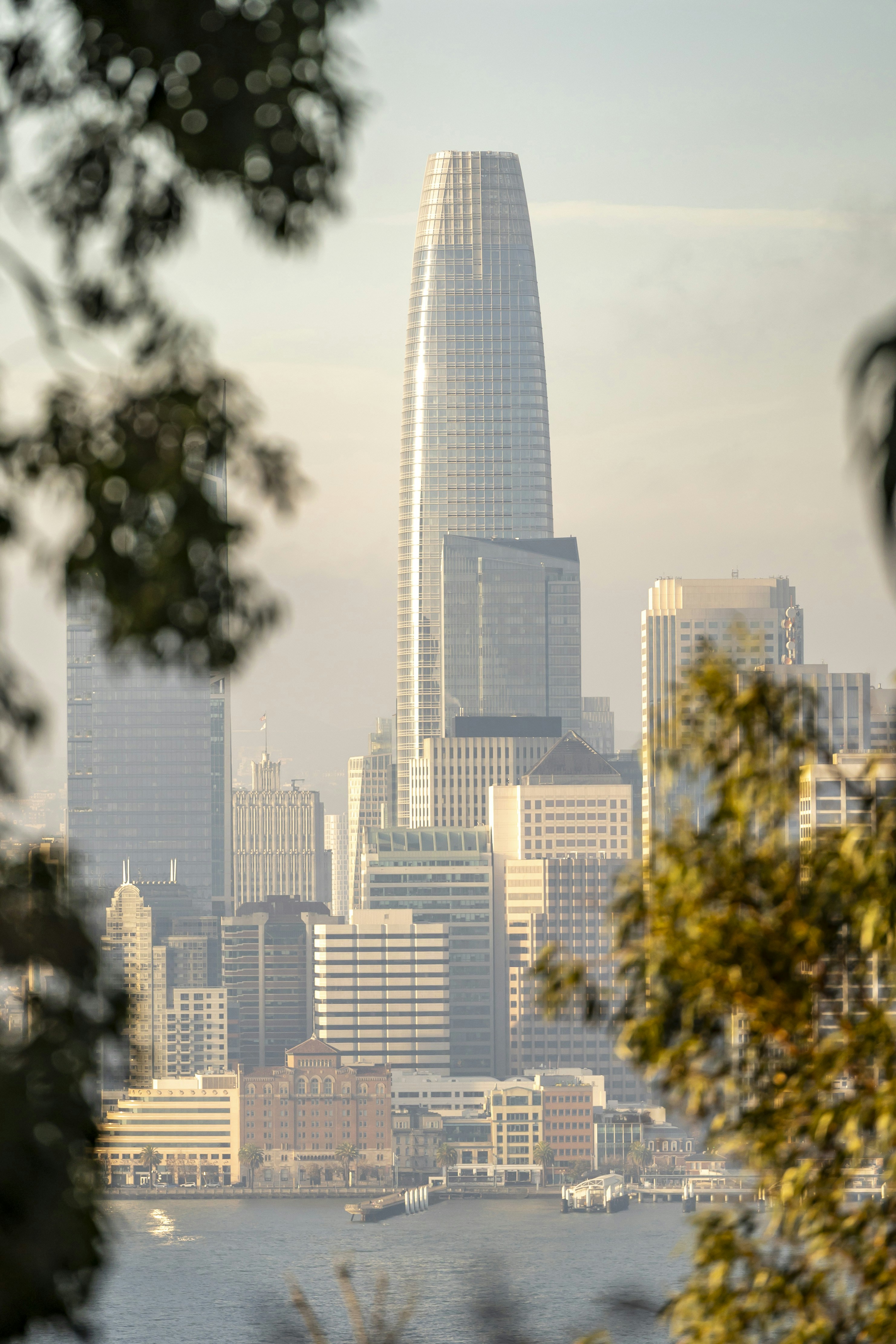 San francisco skyline with salesforce tower visible.
