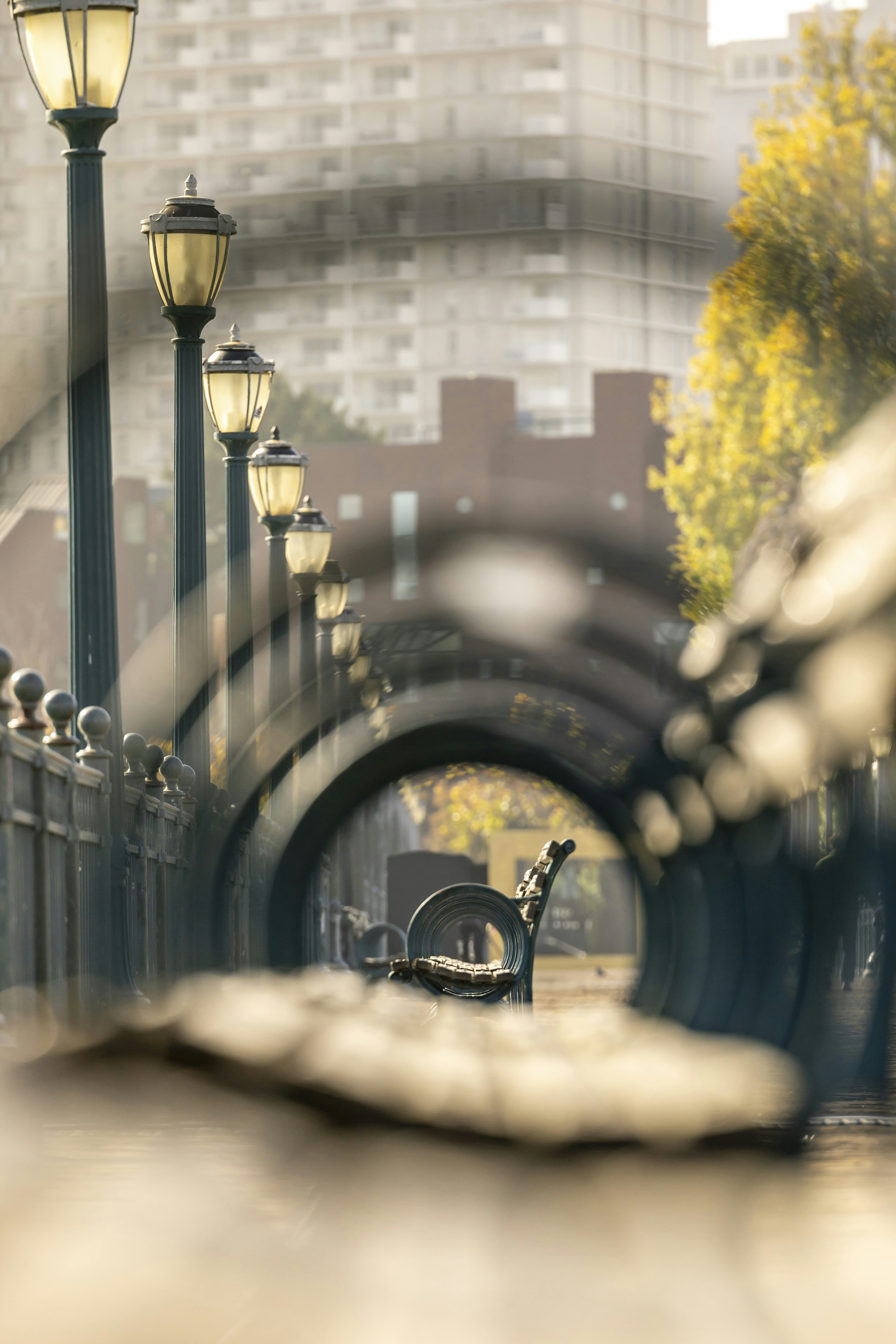 Photo by Leo_Visions with Canon EOS R3