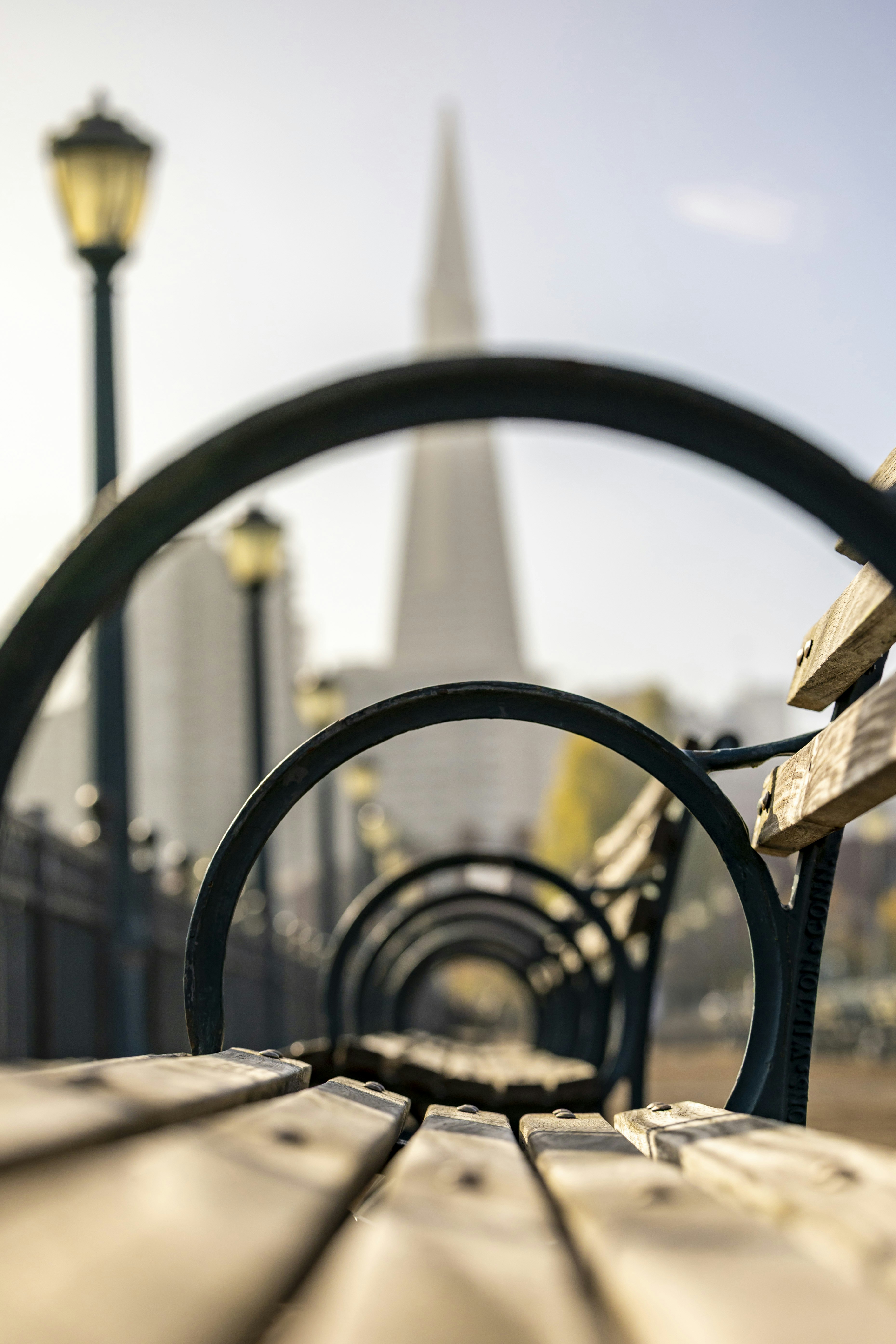 Photo by Leo_Visions with Canon EOS R3