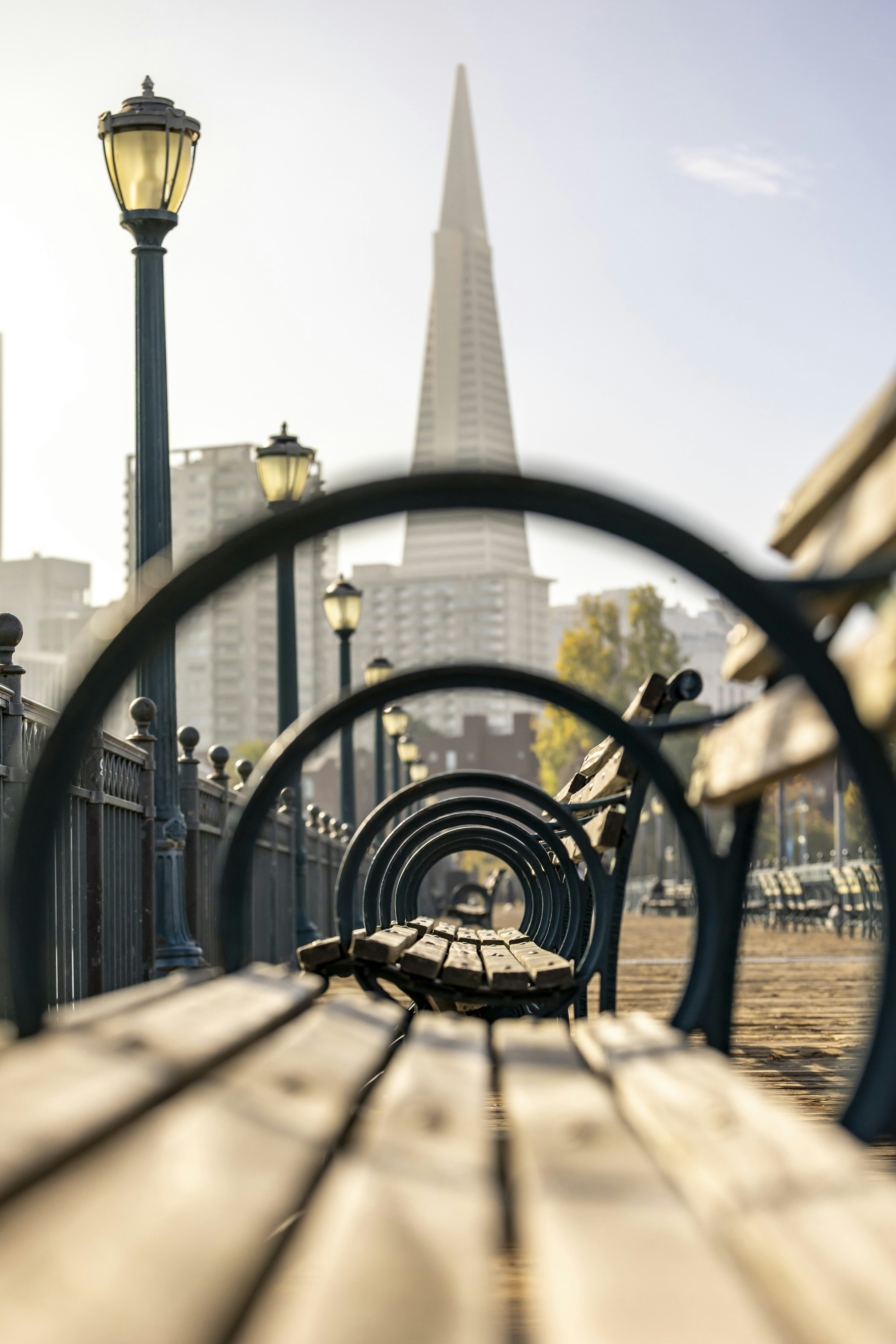 Benches line a walkway with a tall building in background. photo – Free ...