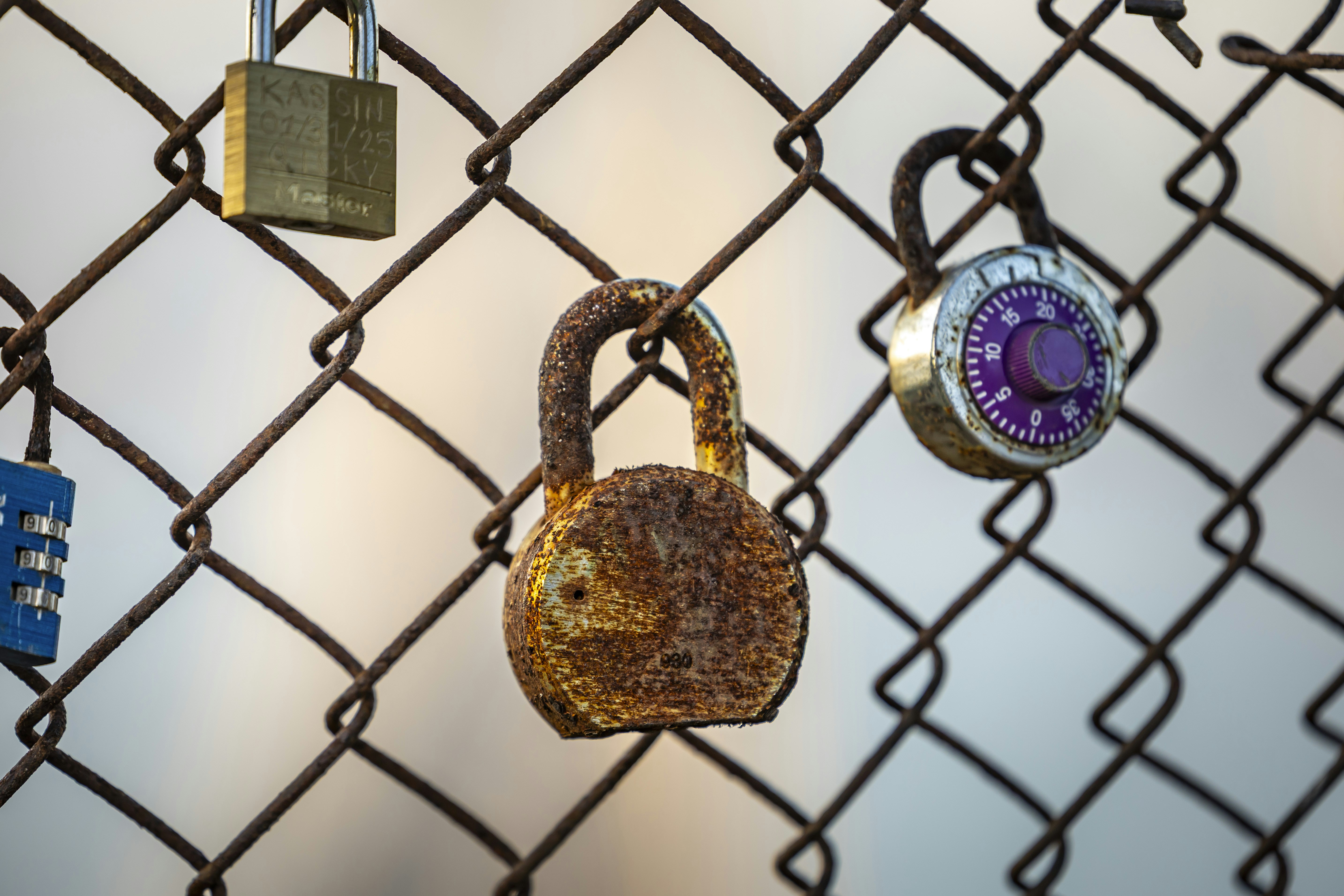 Several padlocks hang on a chain-link fence. photo – Free Security Image on Unsplash