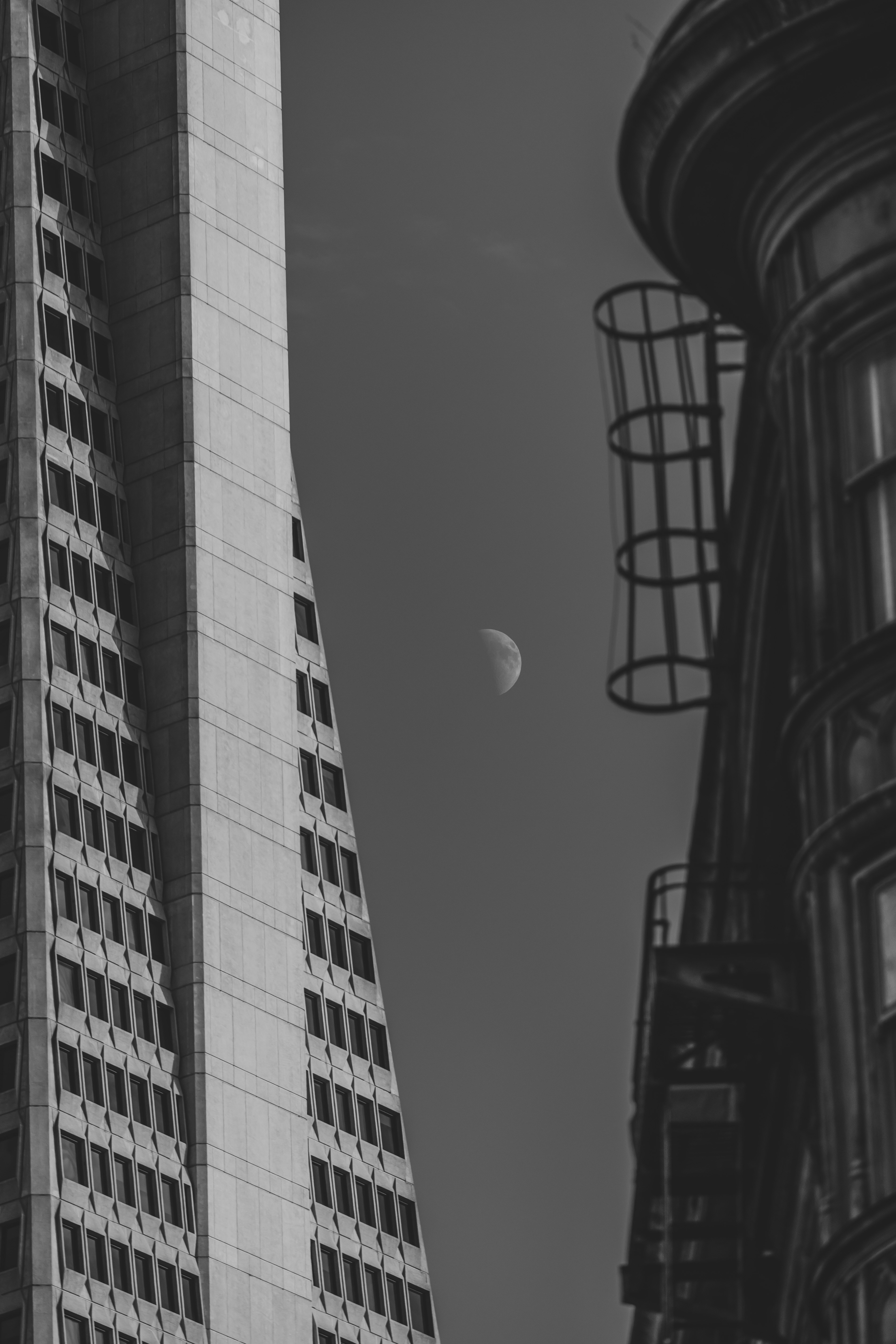 Photo by Leo_Visions with Canon EOS R3