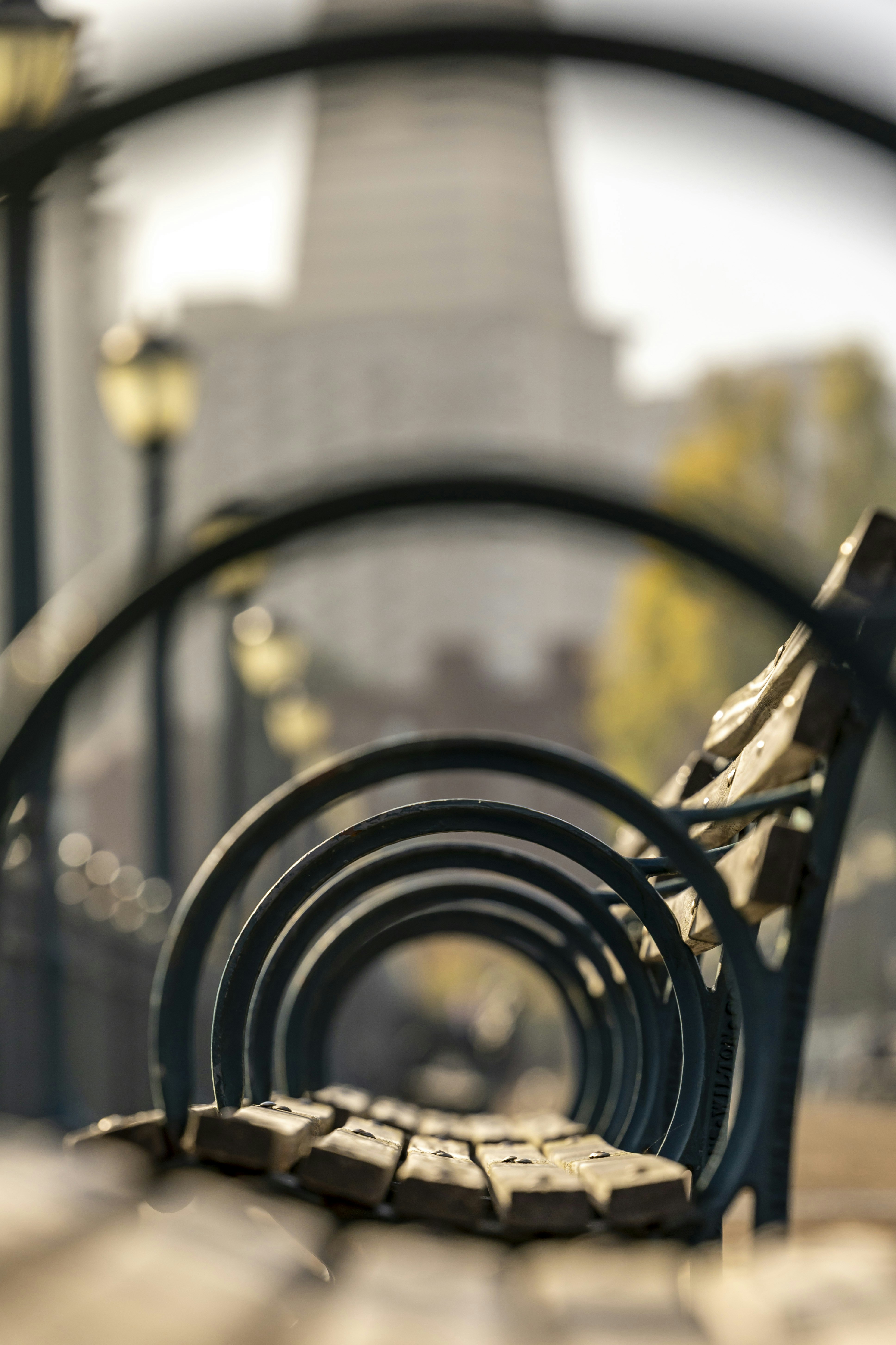 Circular Rails of Perspective: A Bench Through the Ringed Corridor