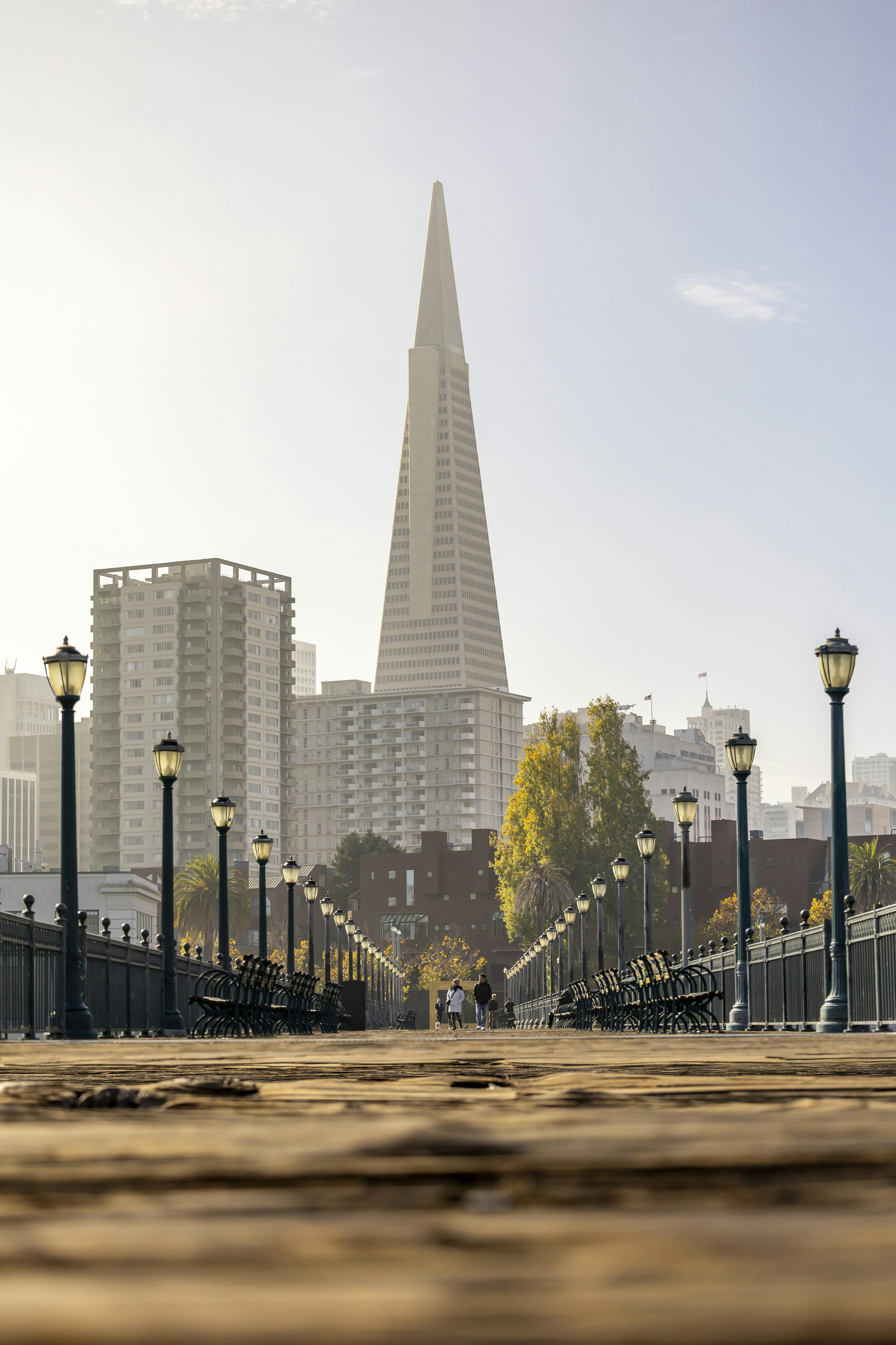 Photo by Leo_Visions with Canon EOS R3