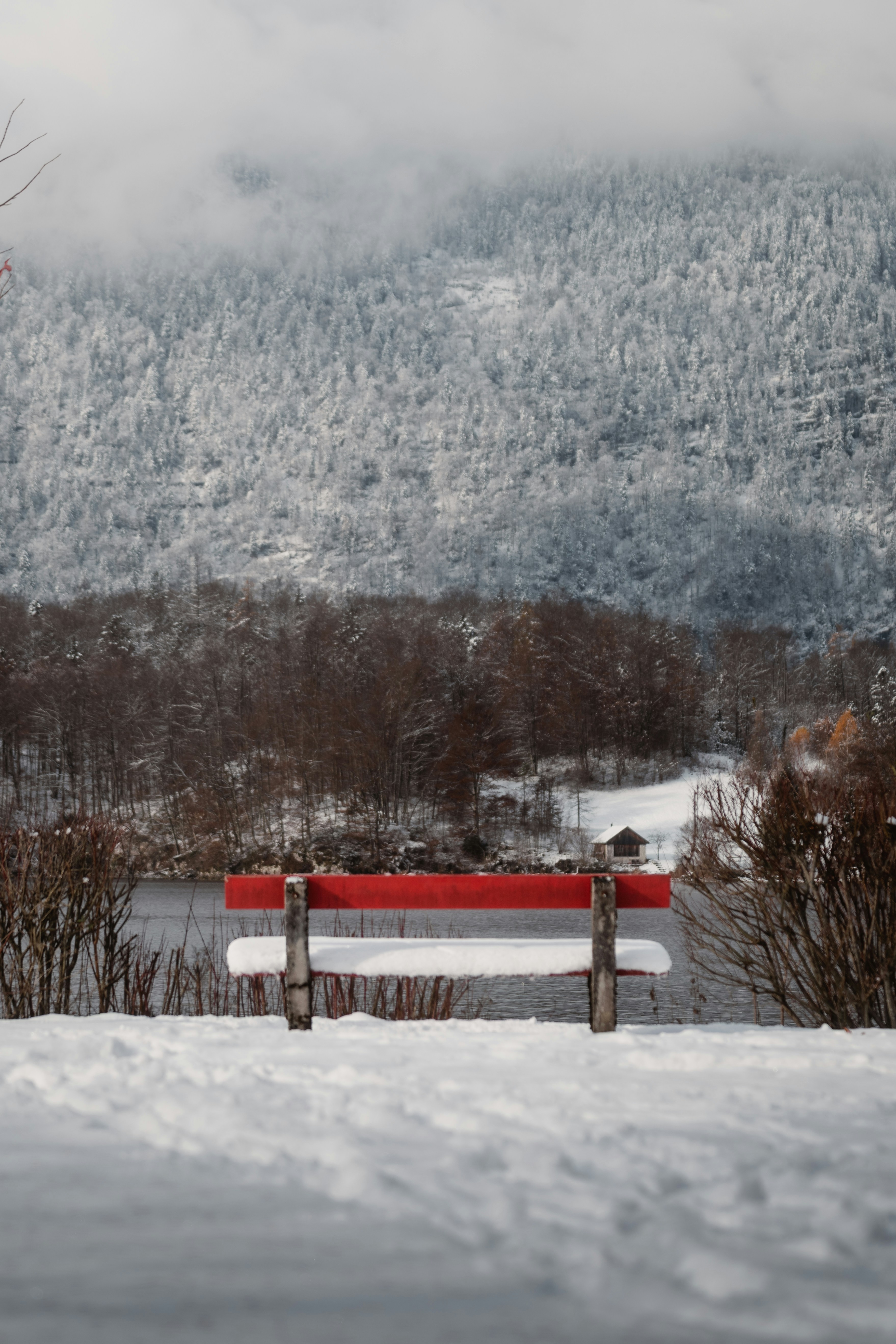 Red Bench in a Winter Silence
