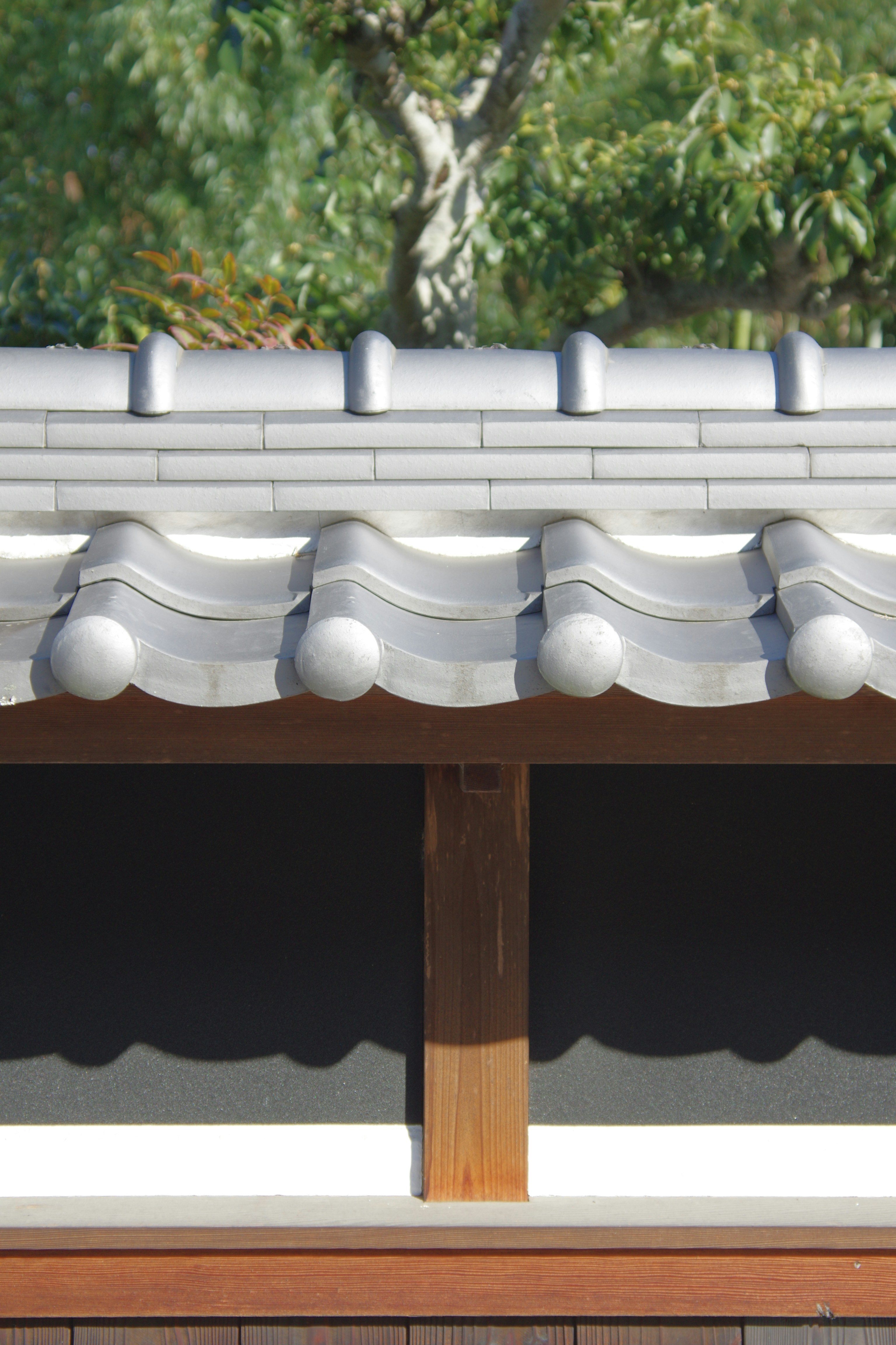 Traditional Tile Roof Meets Wooden Framework