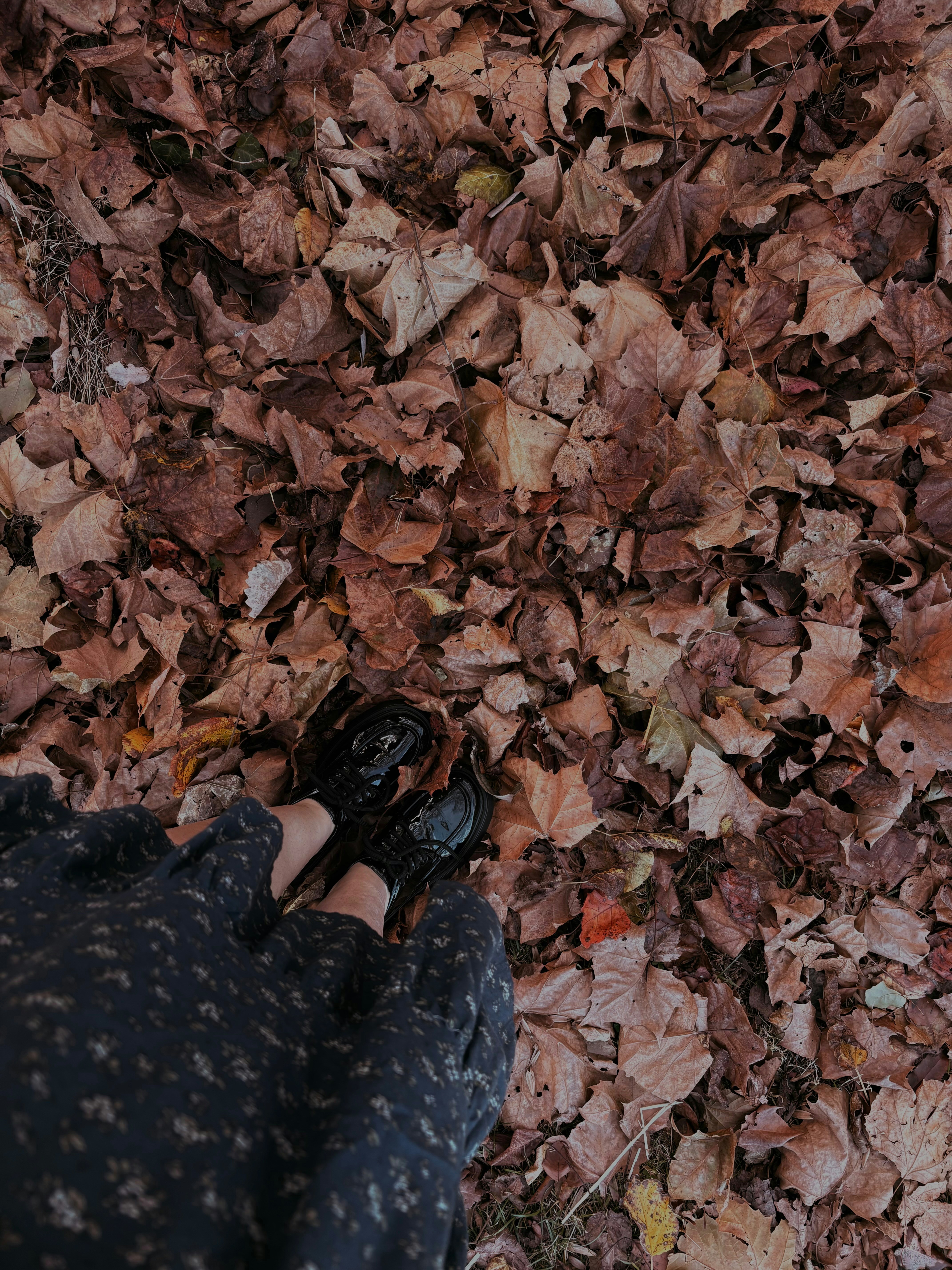 Autumn Steps: Boots on a Leaf-Littered Path