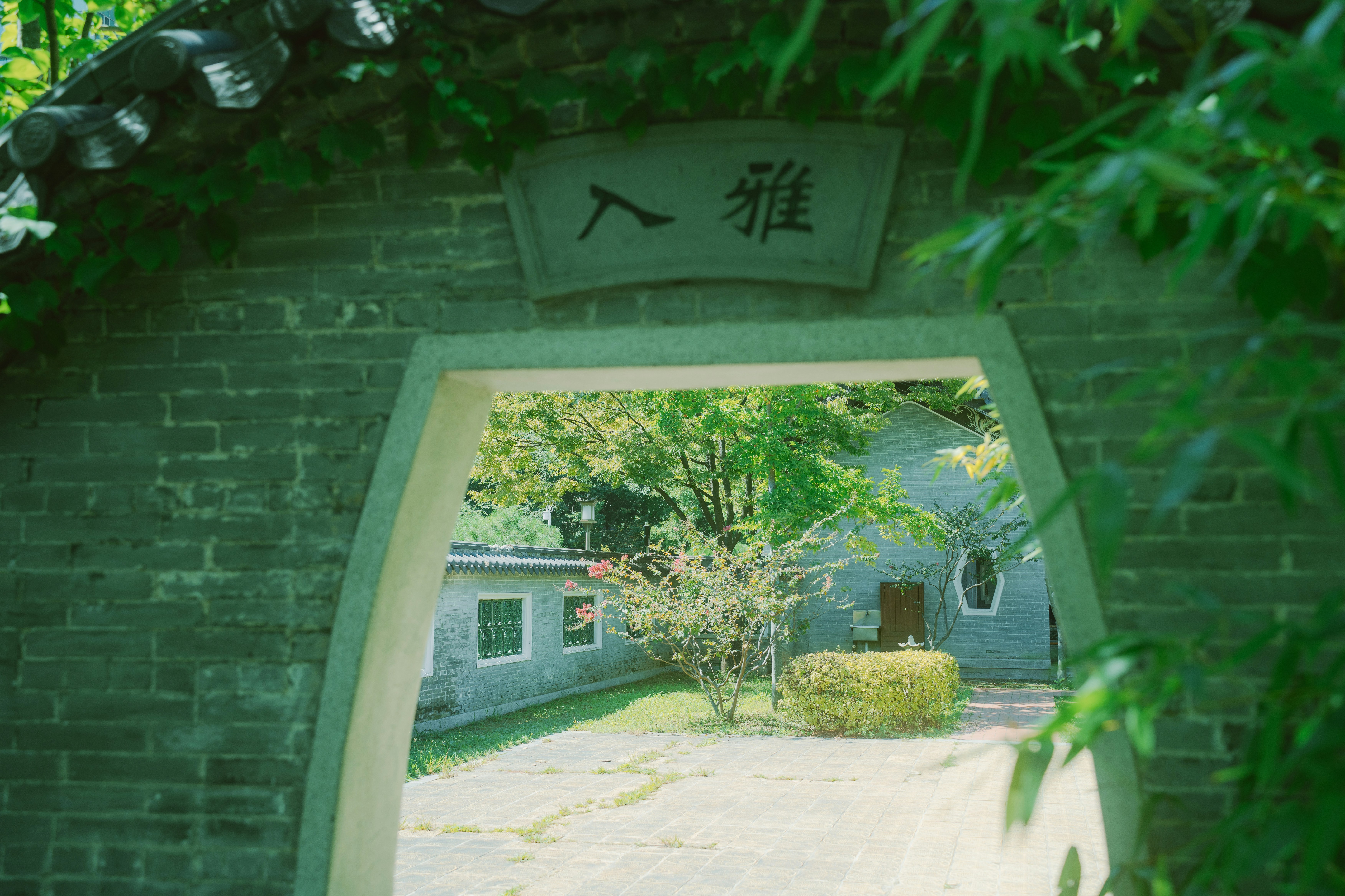 Photo by PJH with Sony Alpha 7 IV