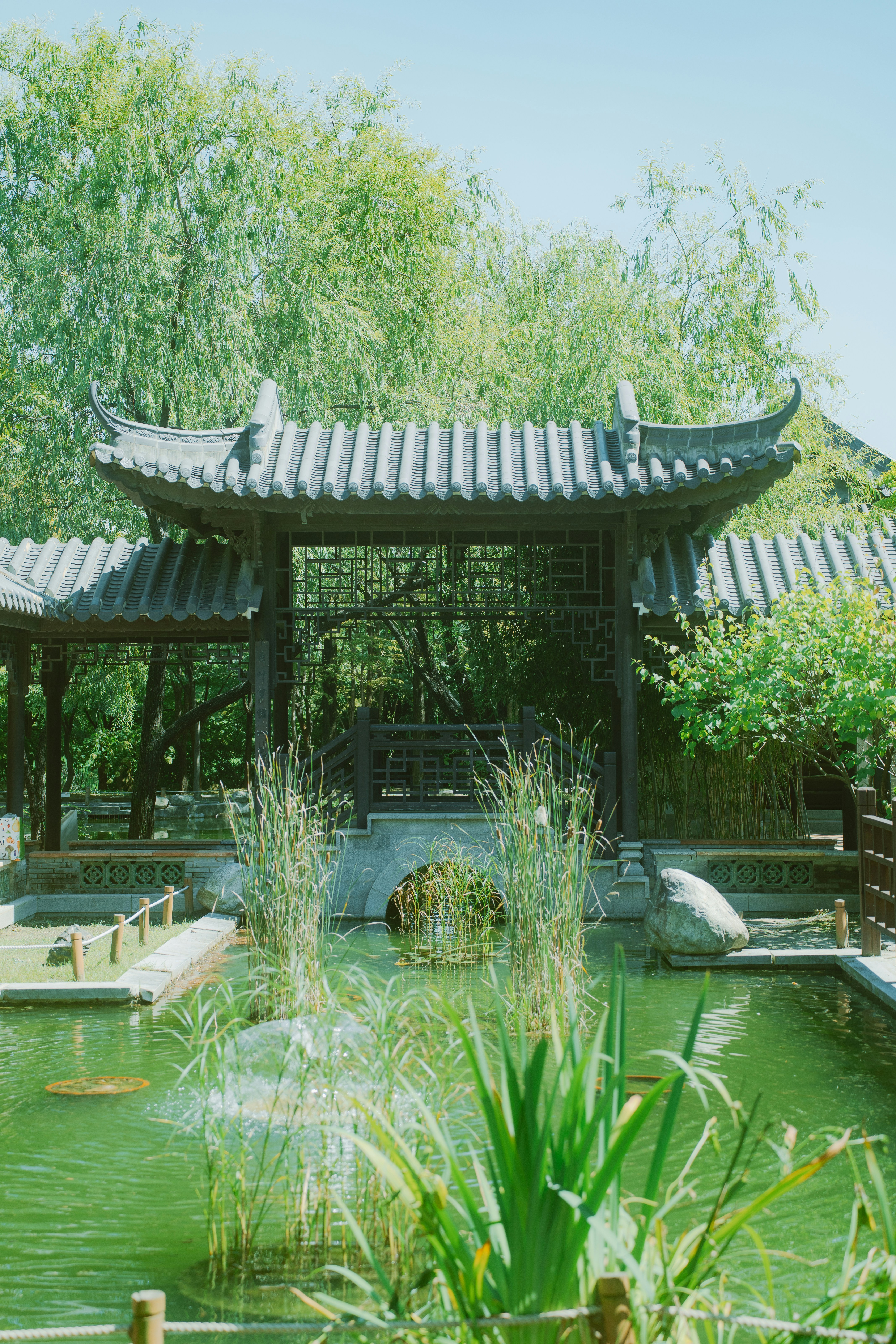 Photo by PJH with Sony Alpha 7 IV