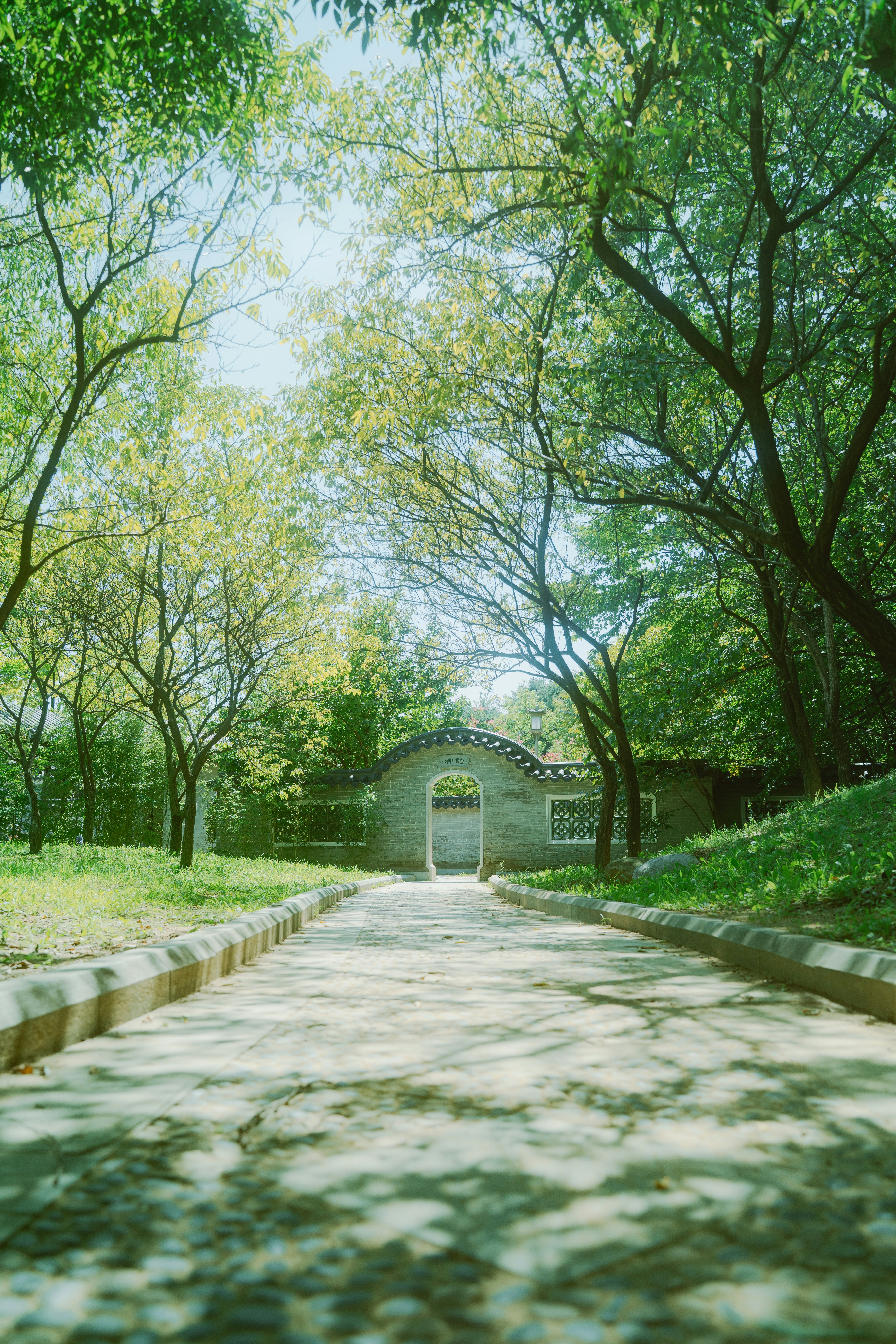 Photo by PJH with Sony Alpha 7 IV