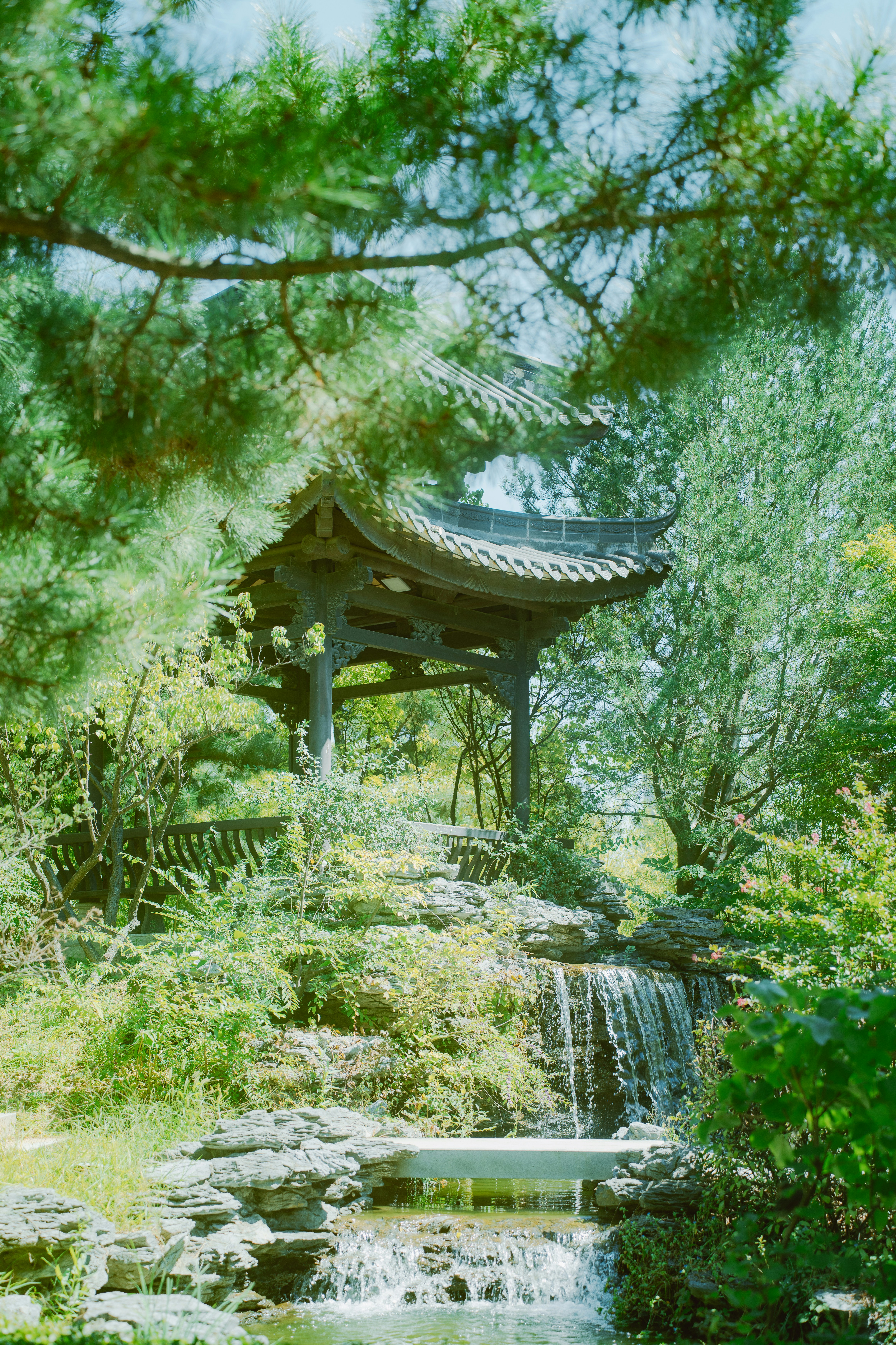 Photo by PJH with Sony Alpha 7 IV