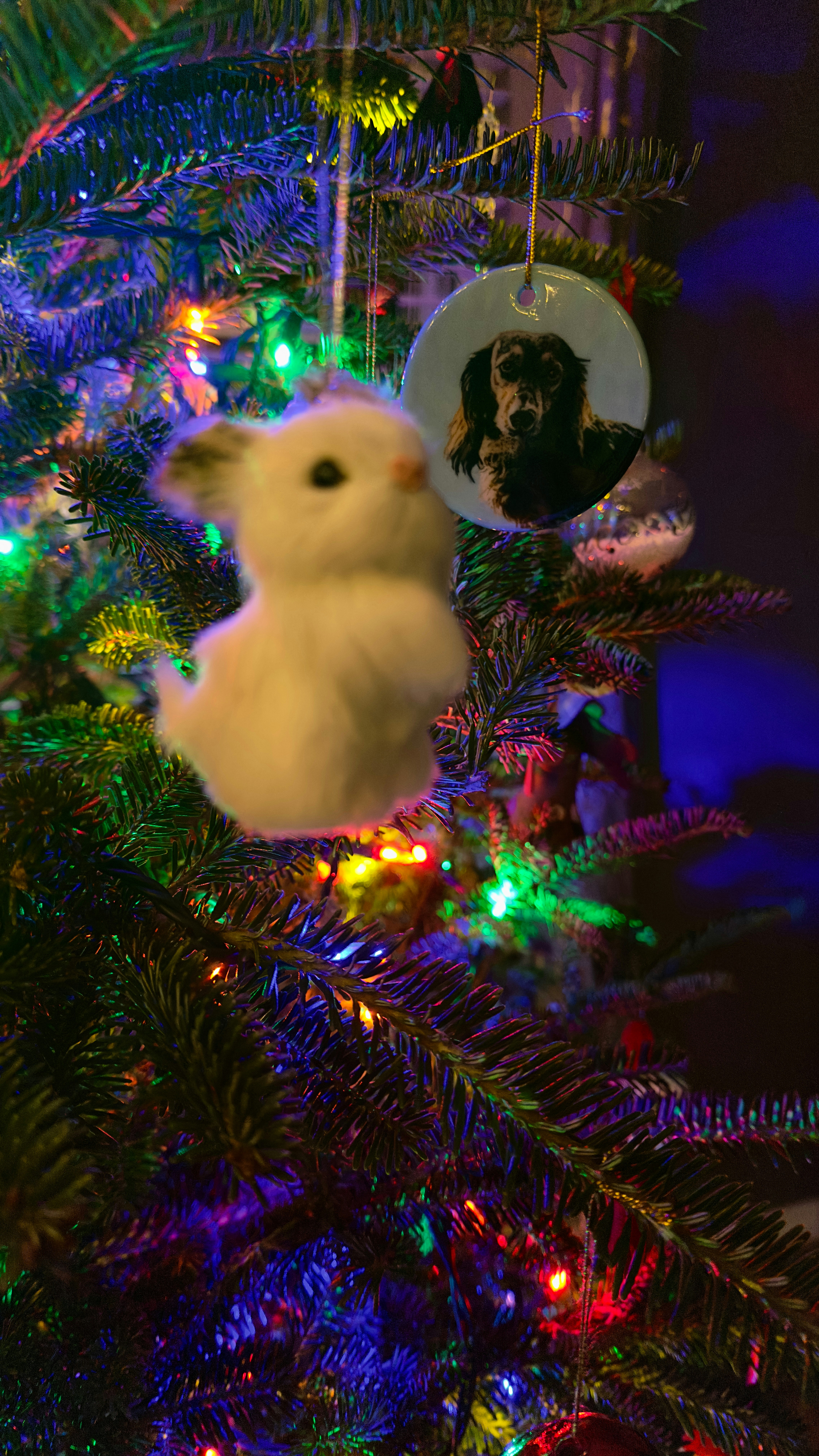 A Cozy Ornament: Soft Plush in a Colorful Christmas Glow