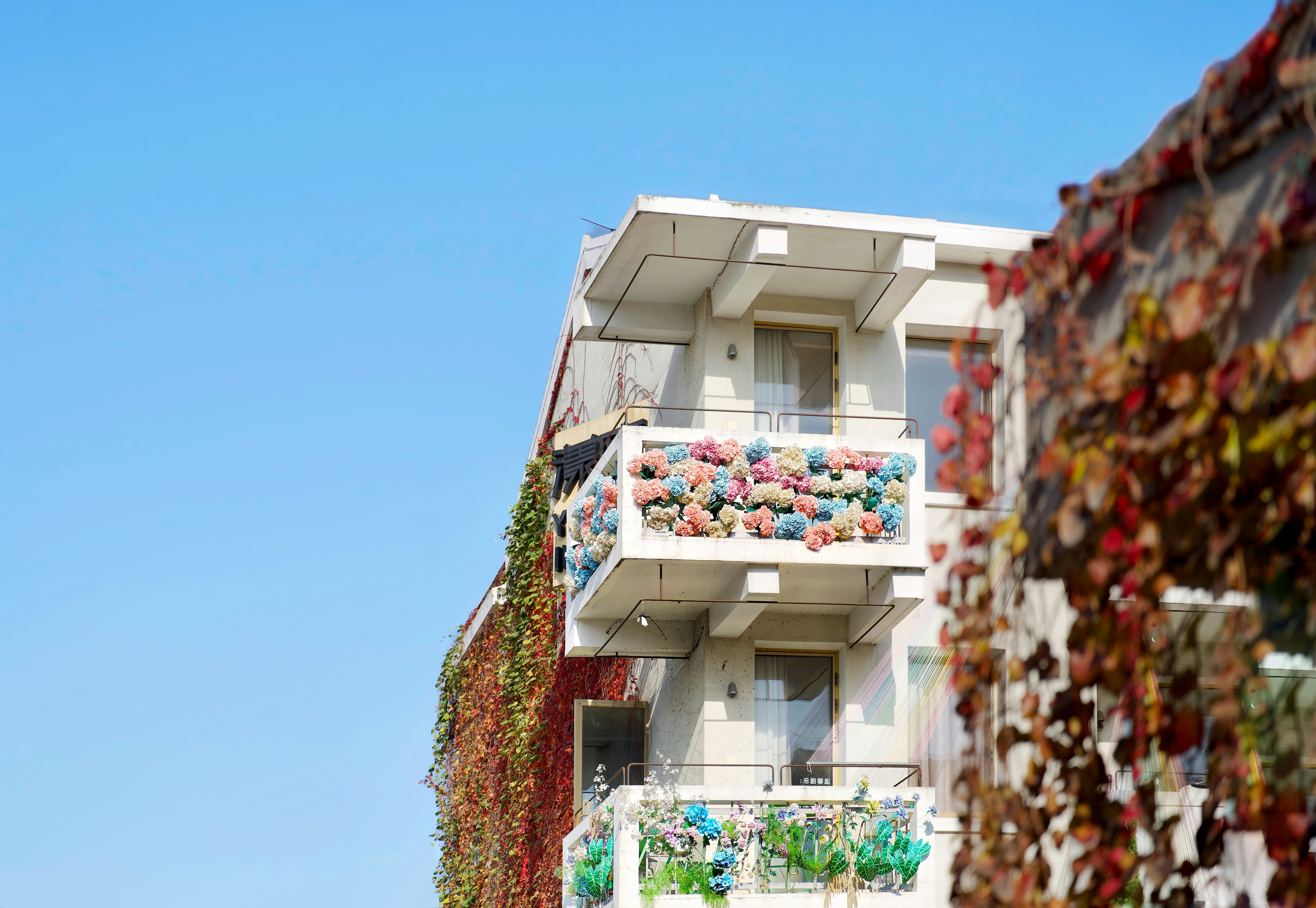 Balcony Blooms Against a Clear Sky