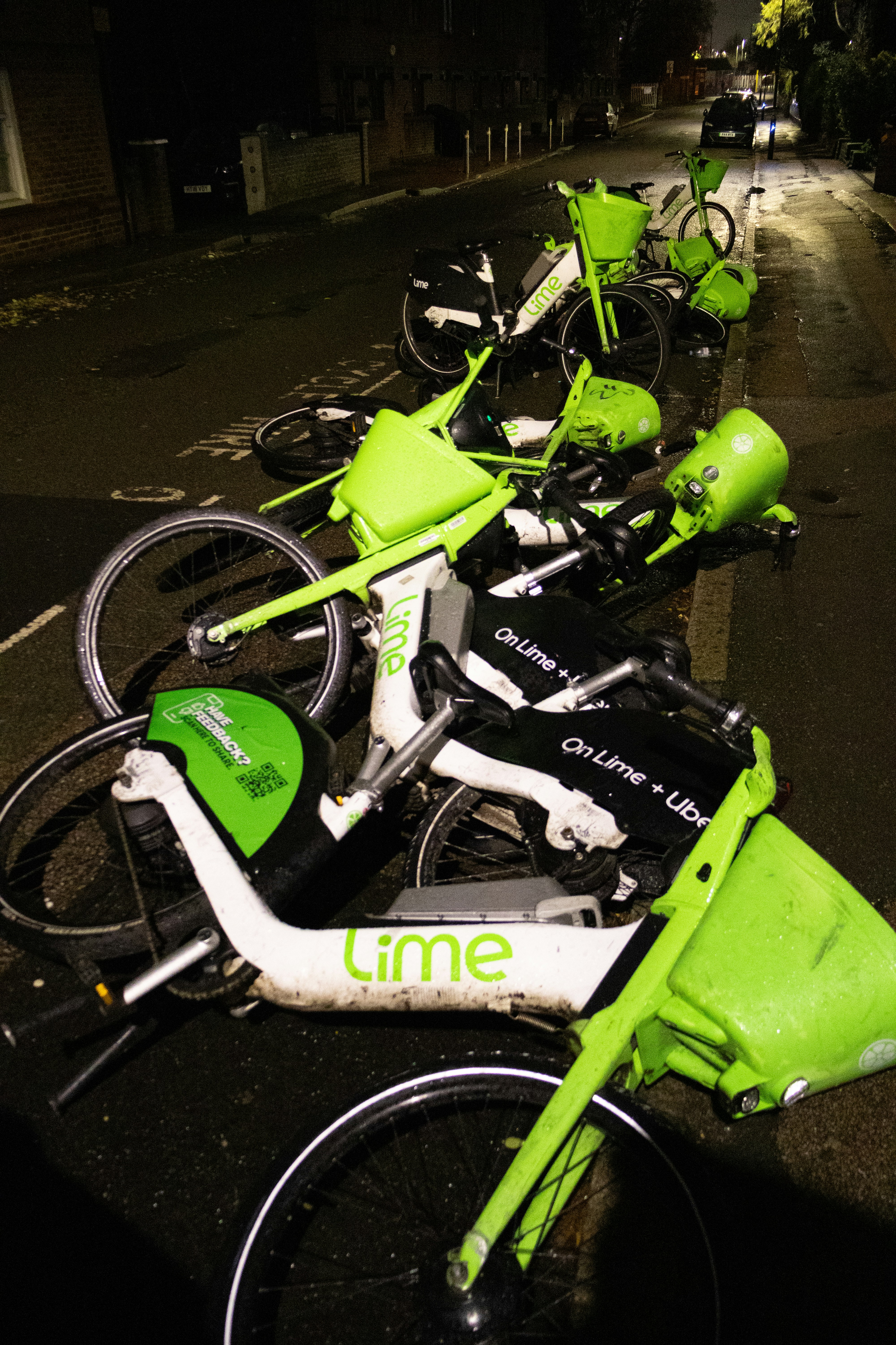 Photo by Tanya Barrow with Canon EOS R50