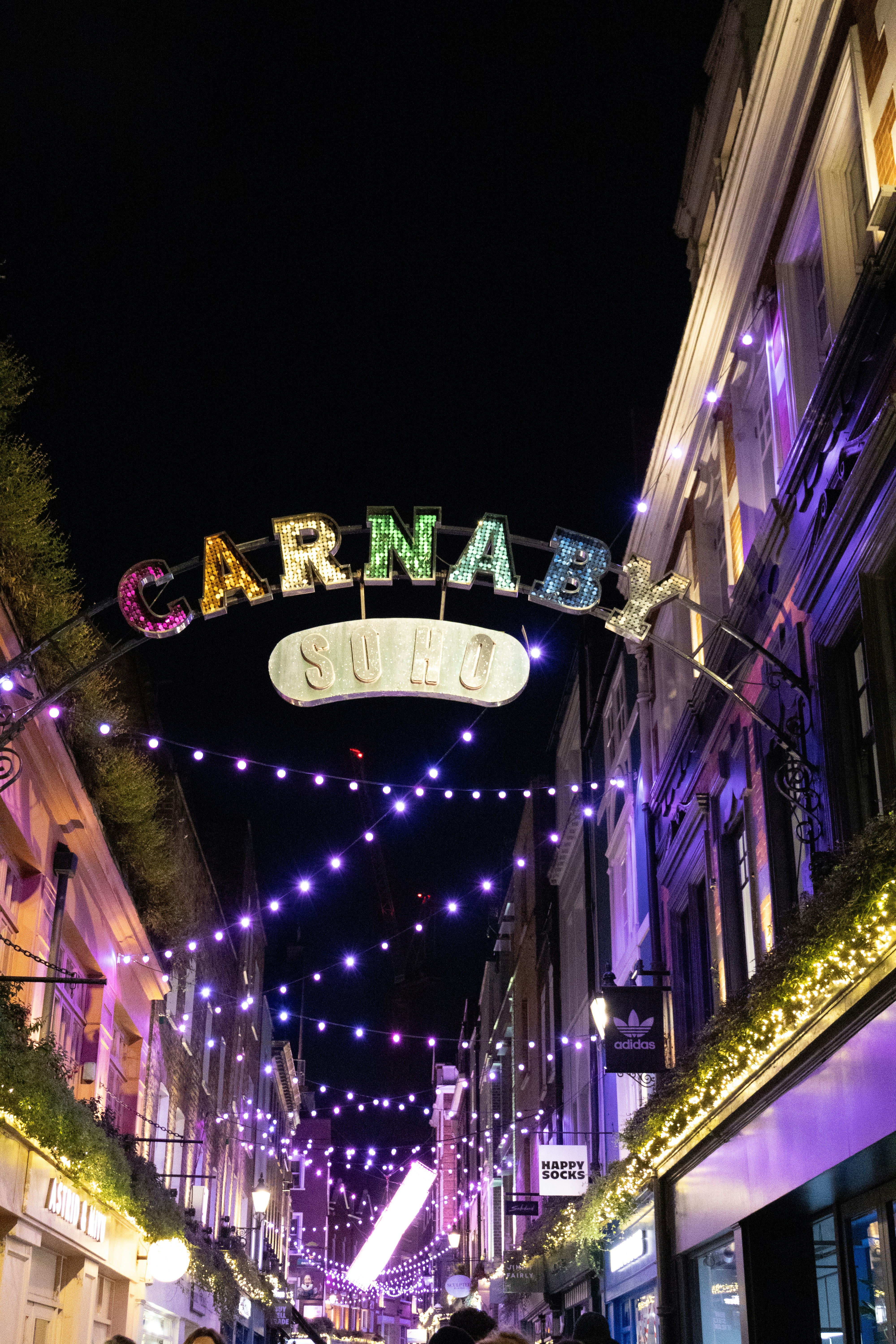 Neon Street Arcadia: Lights Guiding the Night Walk