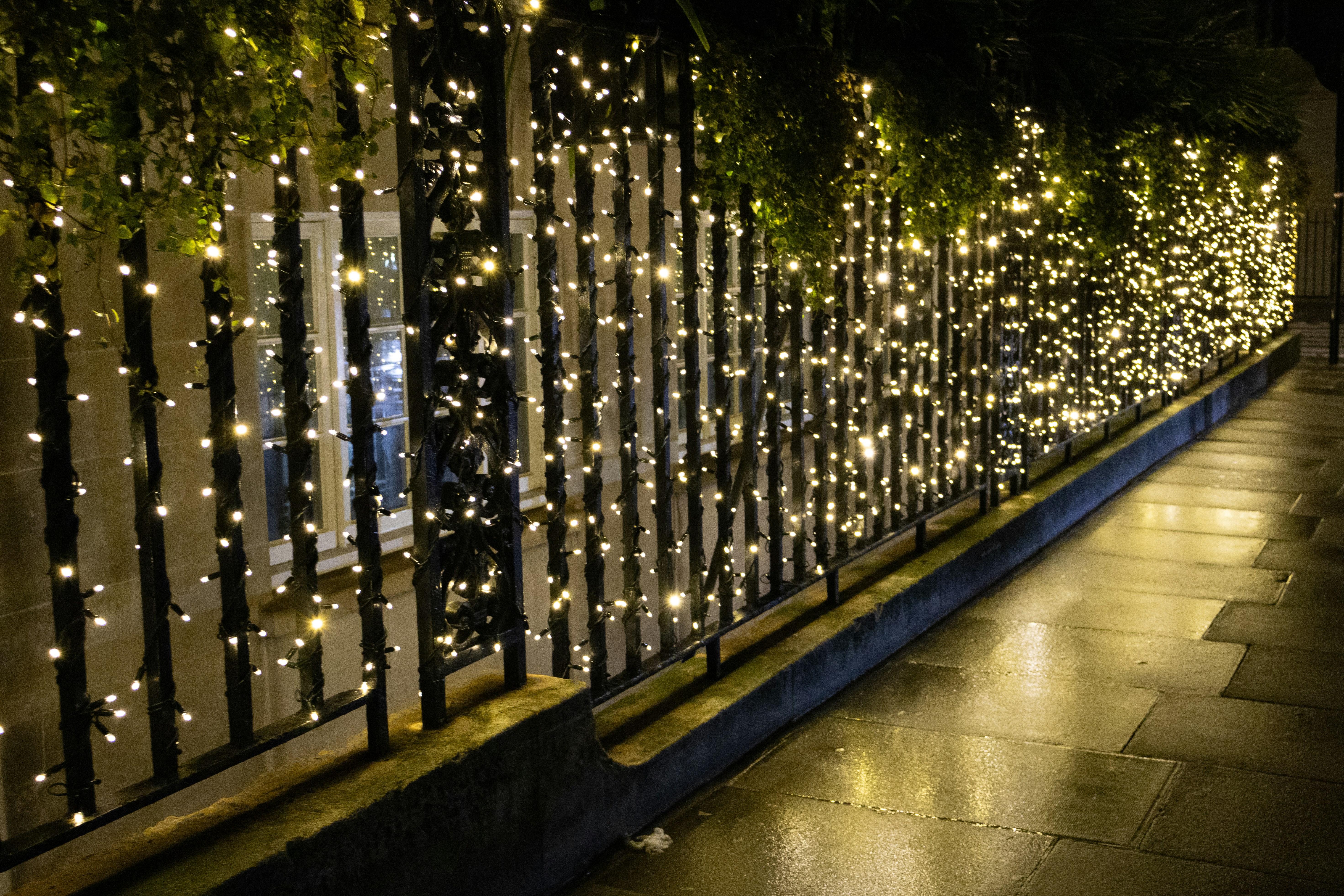 Photo by Tanya Barrow with Canon EOS R50