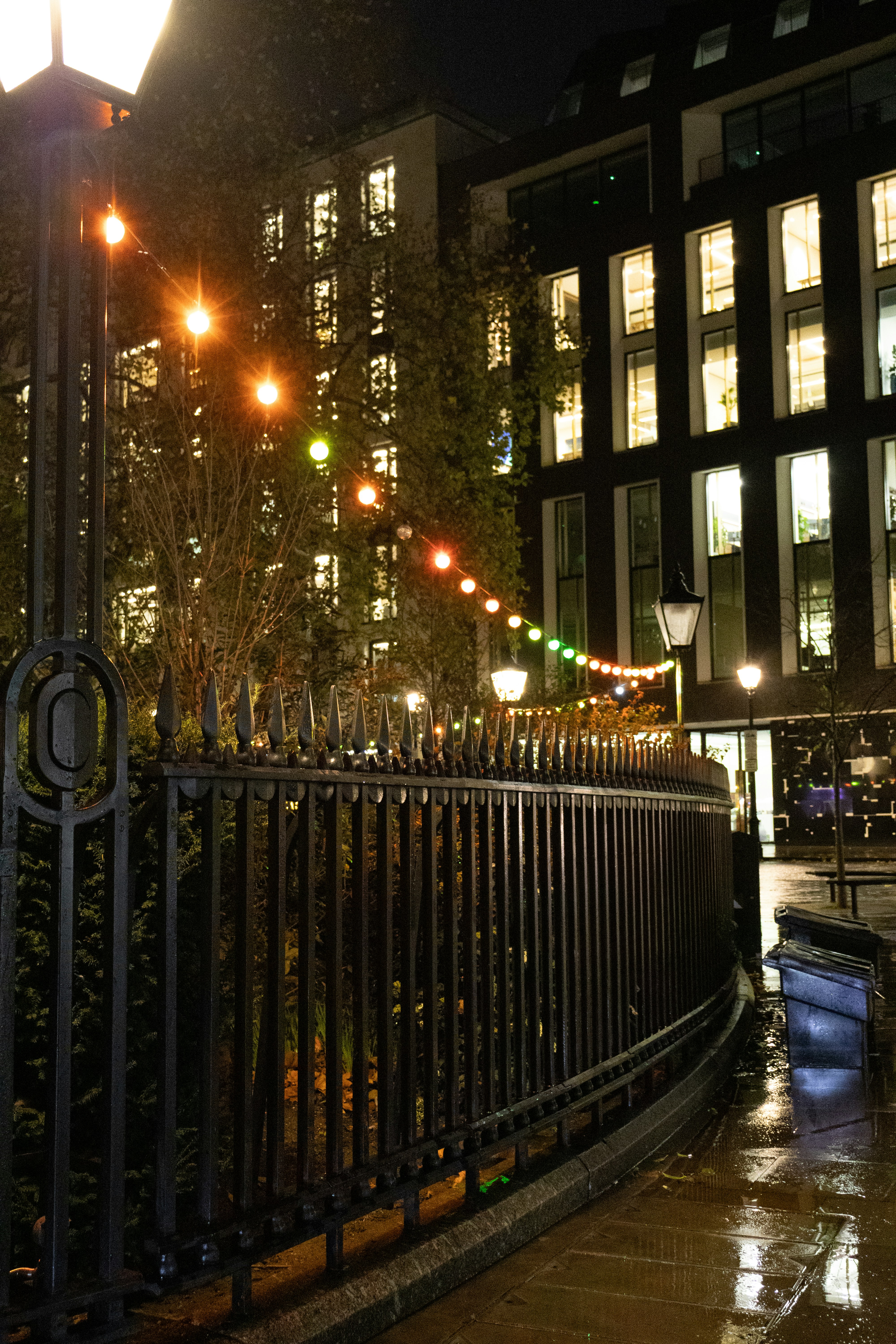 Photo by Tanya Barrow with Canon EOS R50