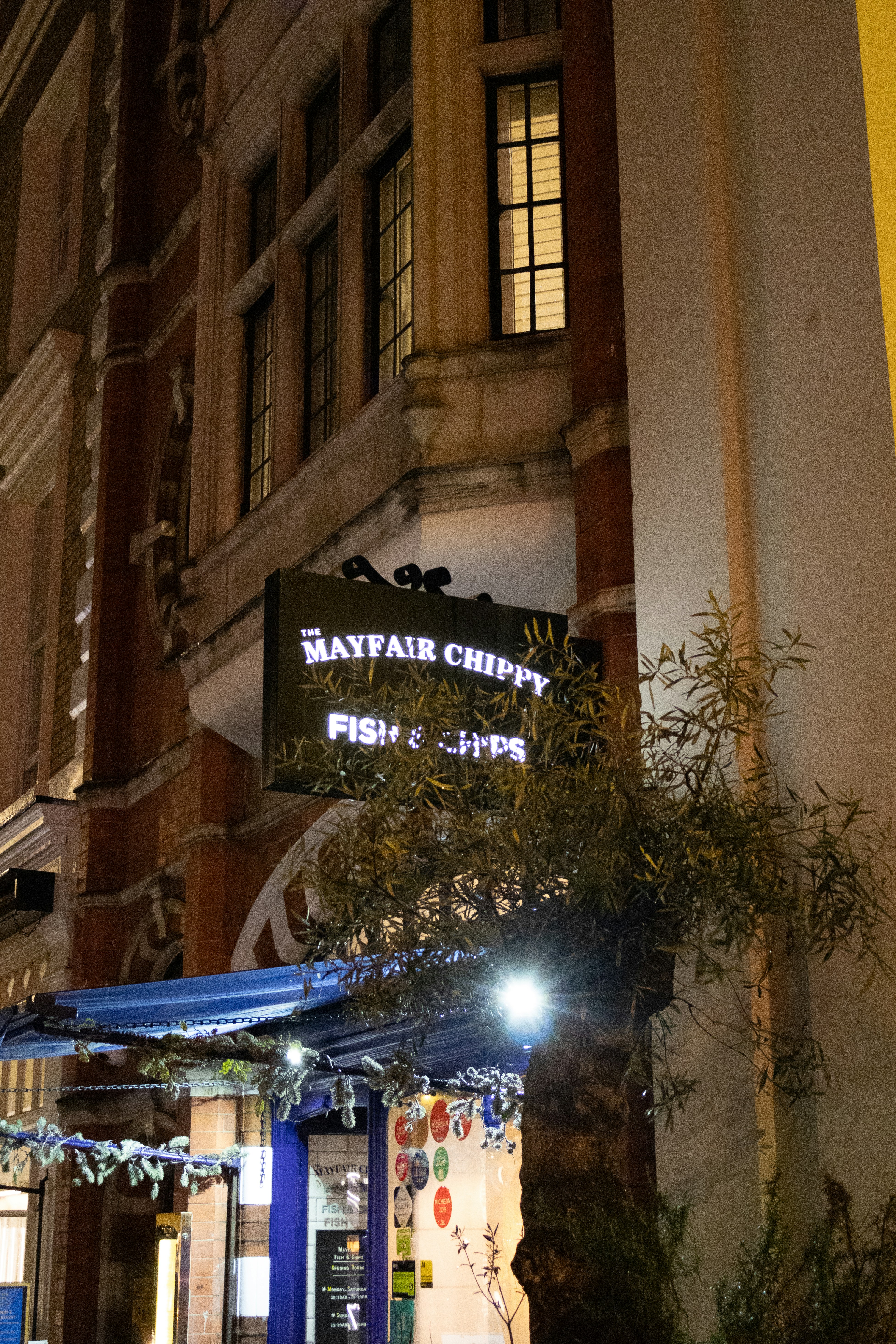 Photo by Tanya Barrow with Canon EOS R50