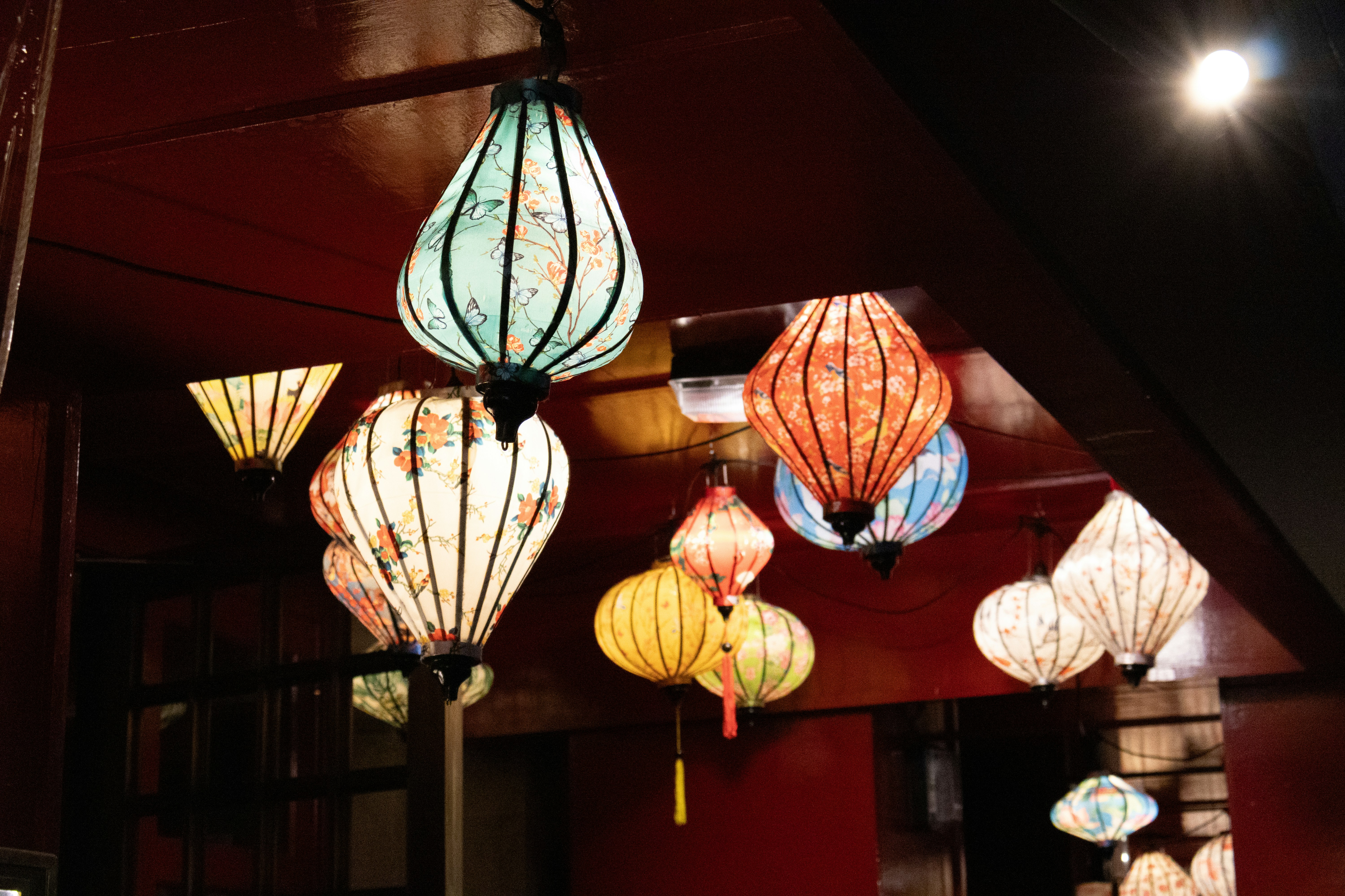 Photo by Tanya Barrow with Canon EOS R50