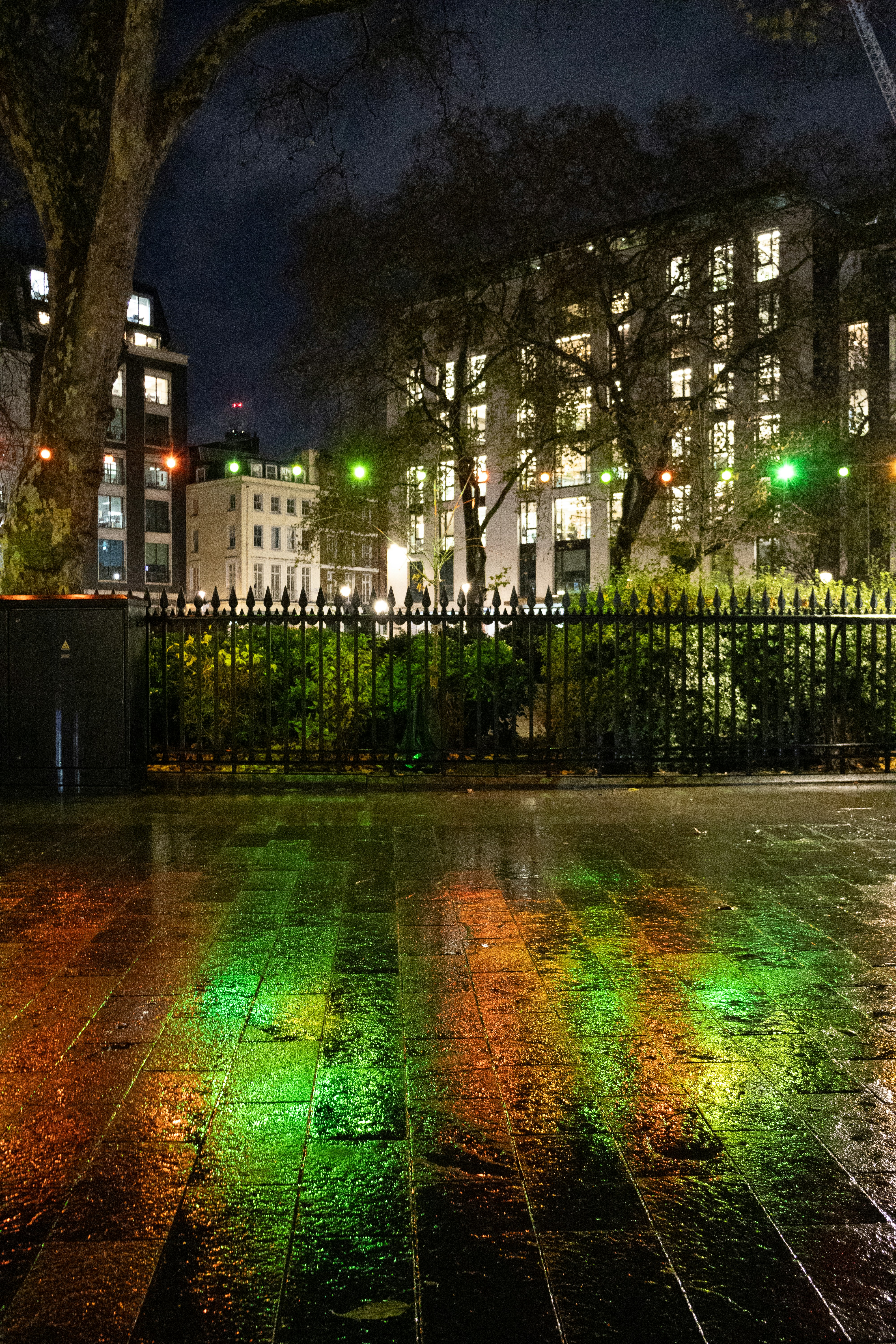 Night City Park Reflections on Glazed Pavement