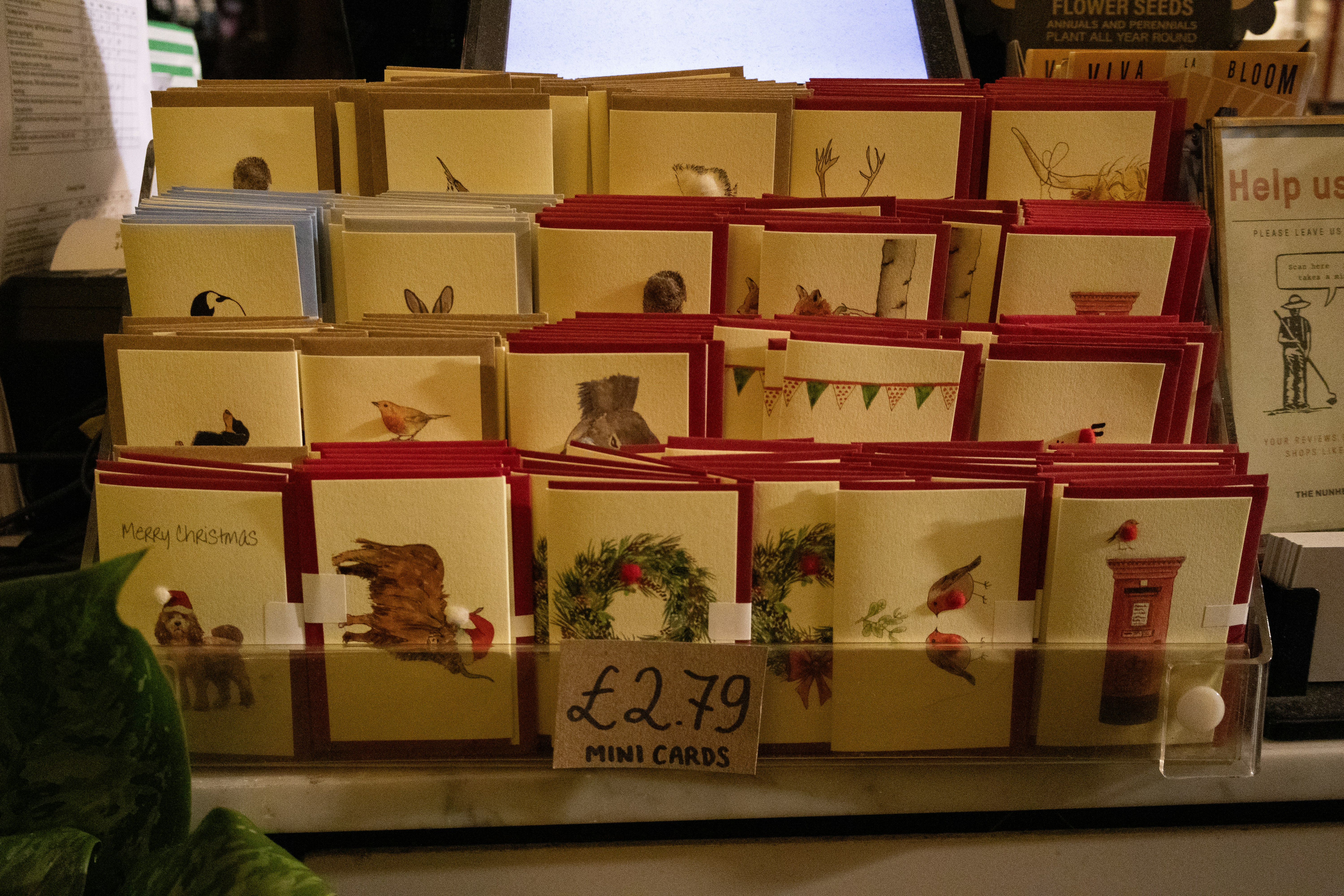 Photo by Tanya Barrow with Canon EOS R50