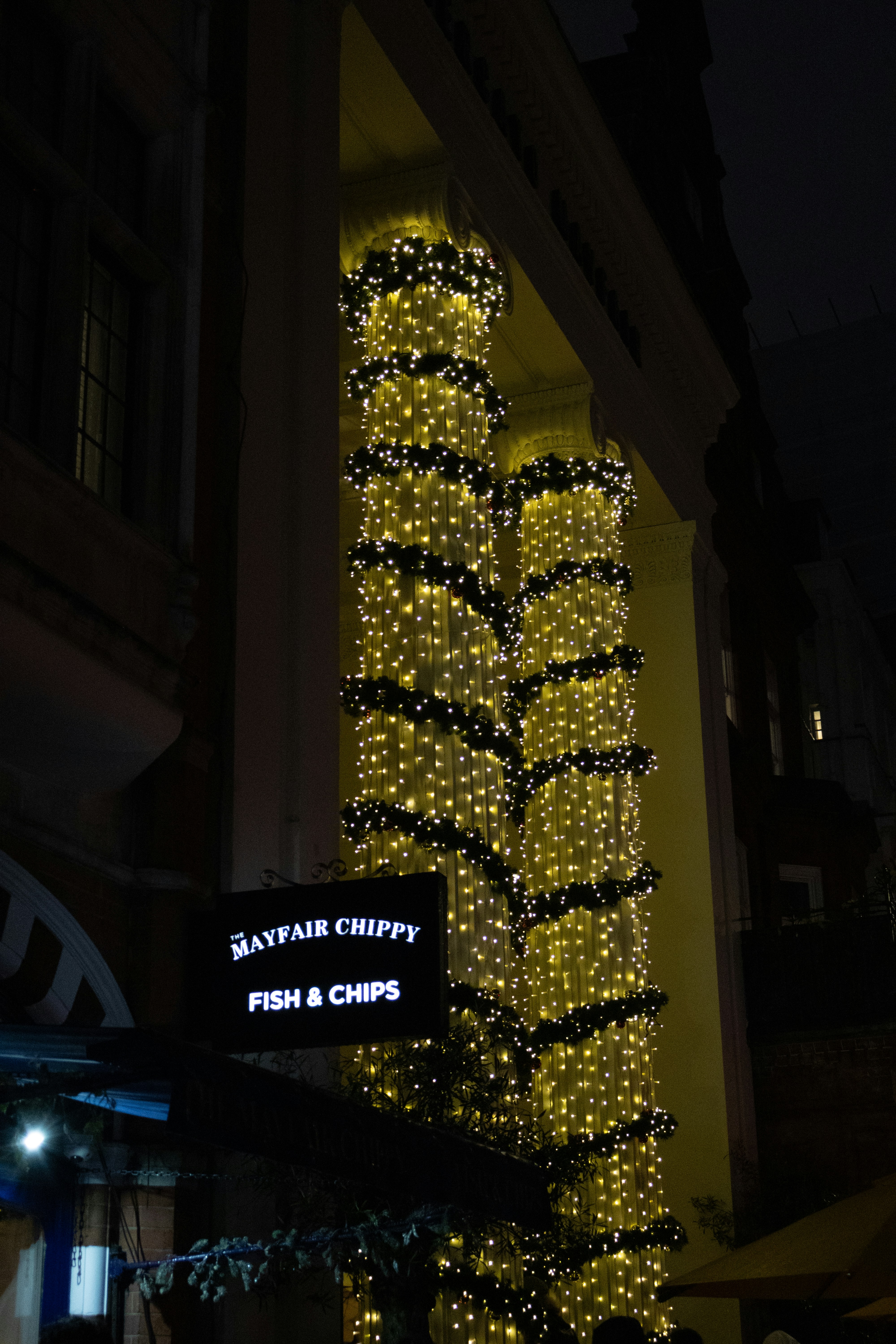 Photo by Tanya Barrow with Canon EOS R50