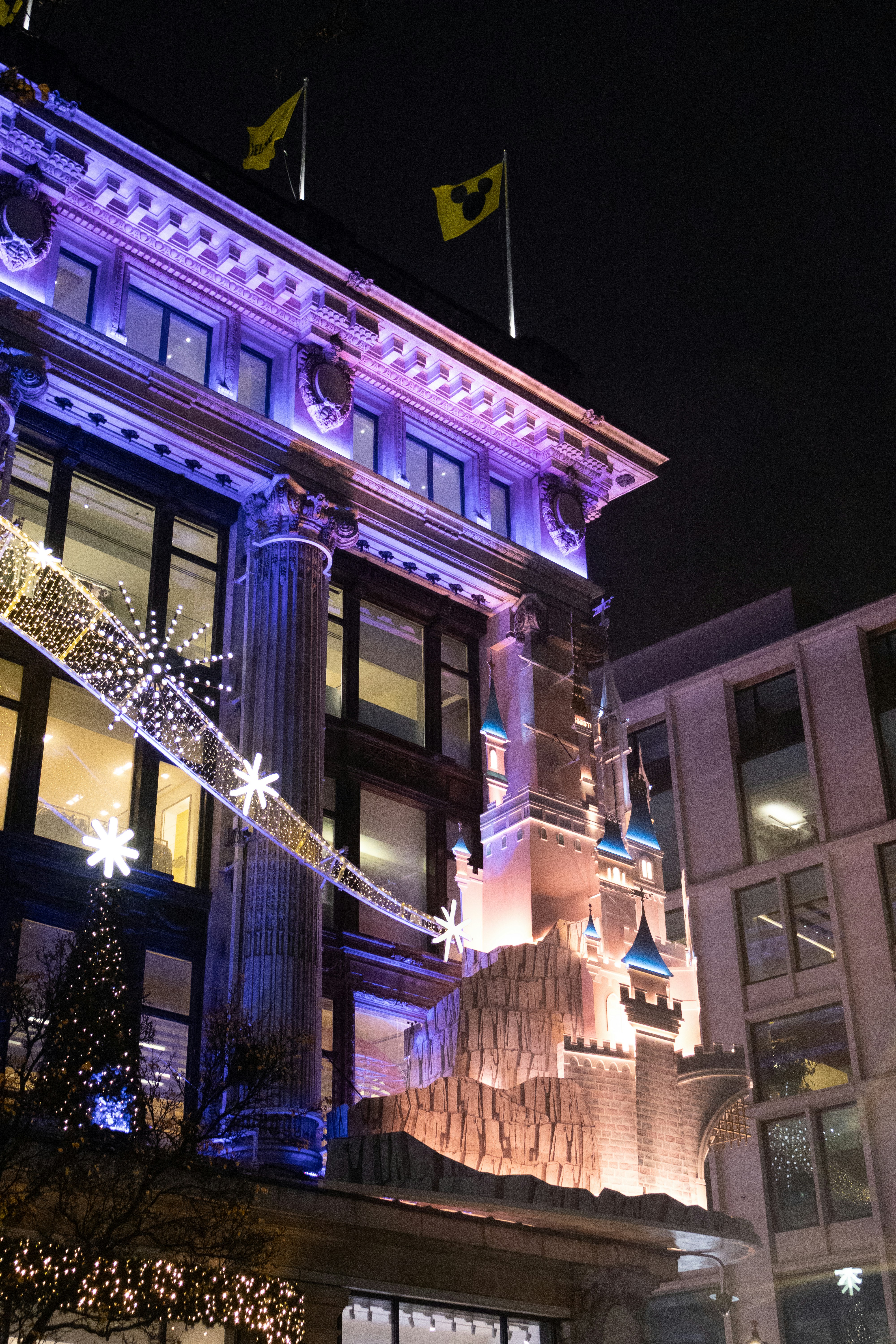 Photo by Tanya Barrow with Canon EOS R50