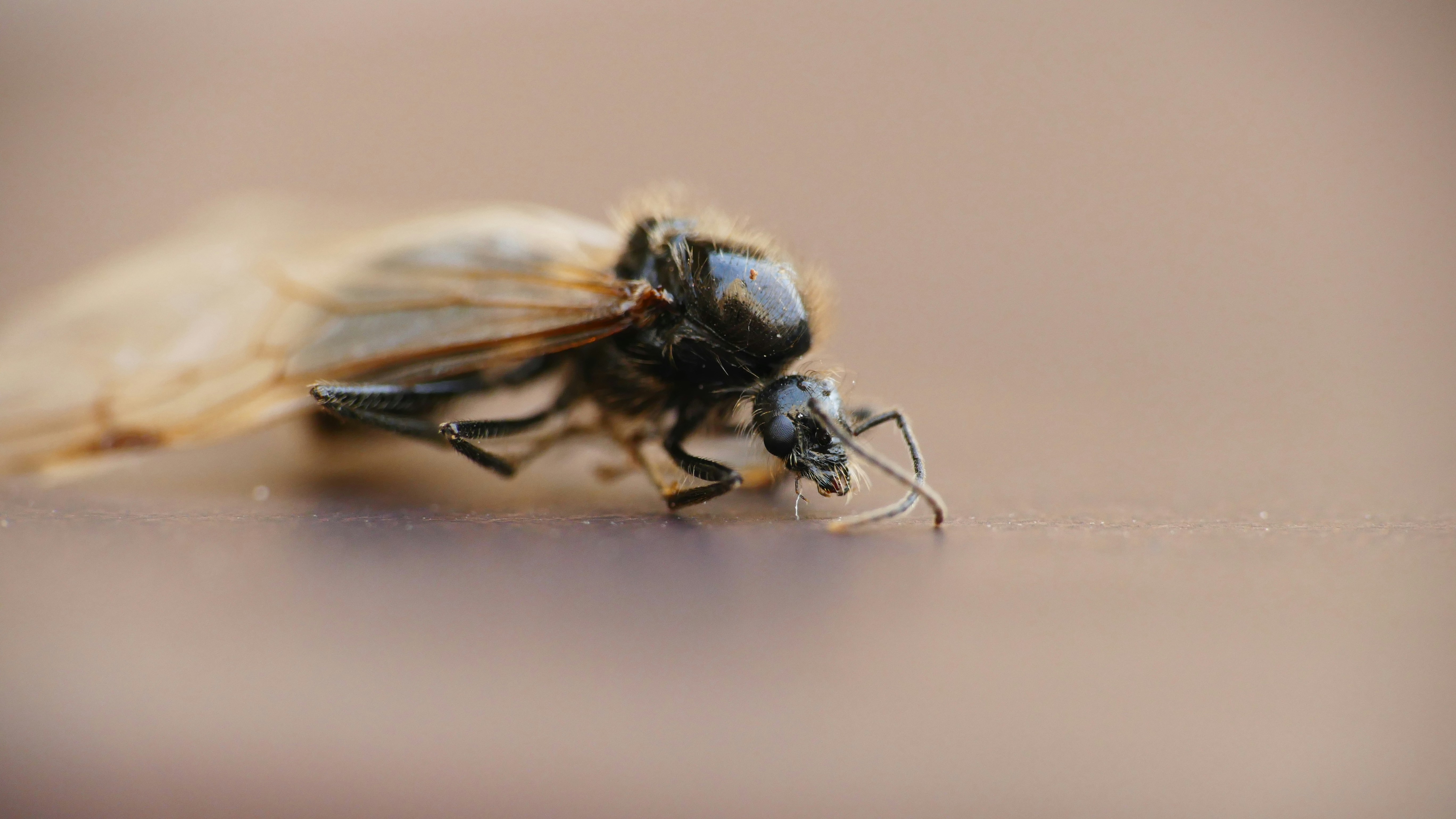 Photo by Marcus Lange with Panasonic Lumix FZ1000