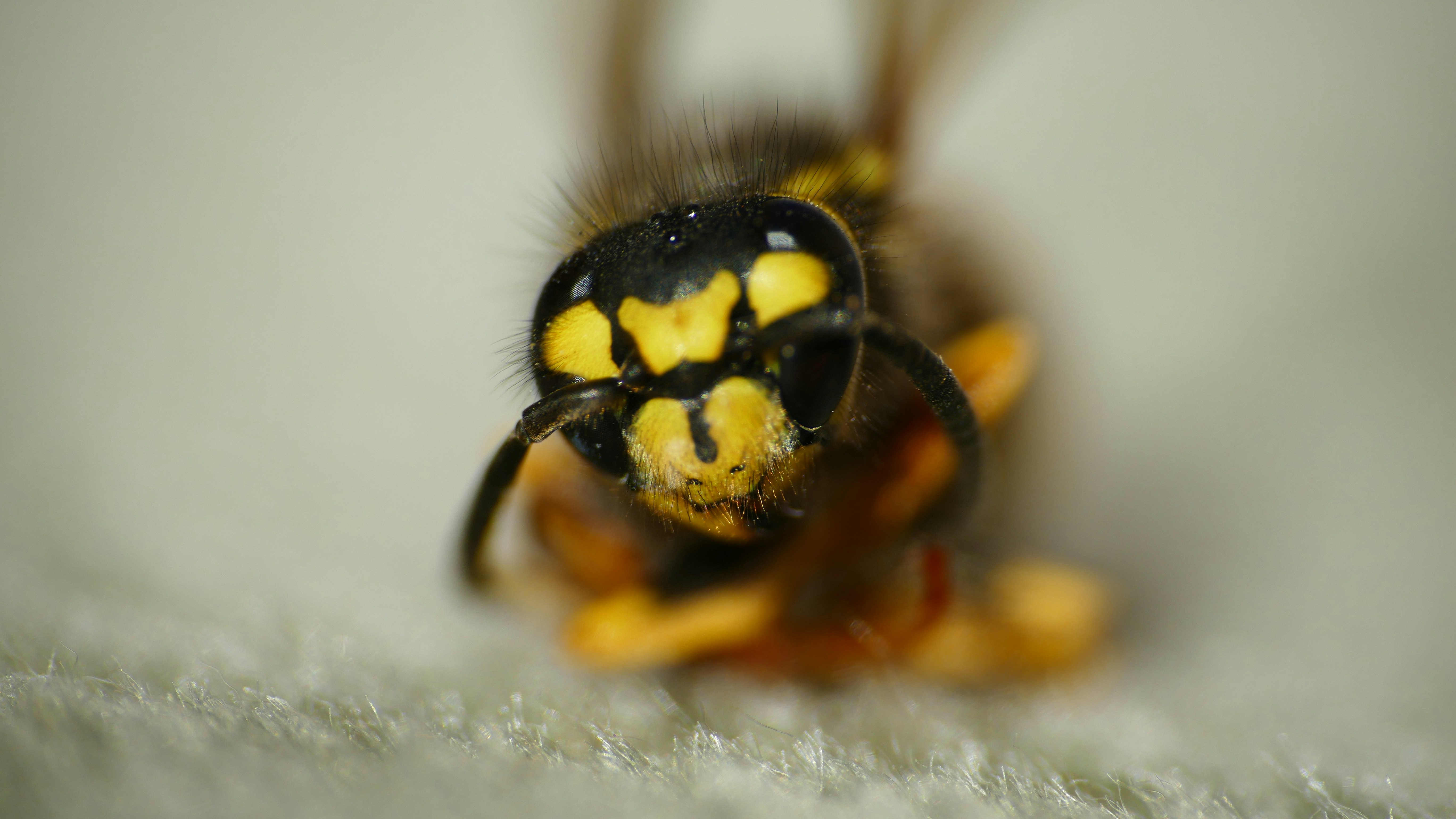 Photo by Marcus Lange with Panasonic Lumix FZ1000