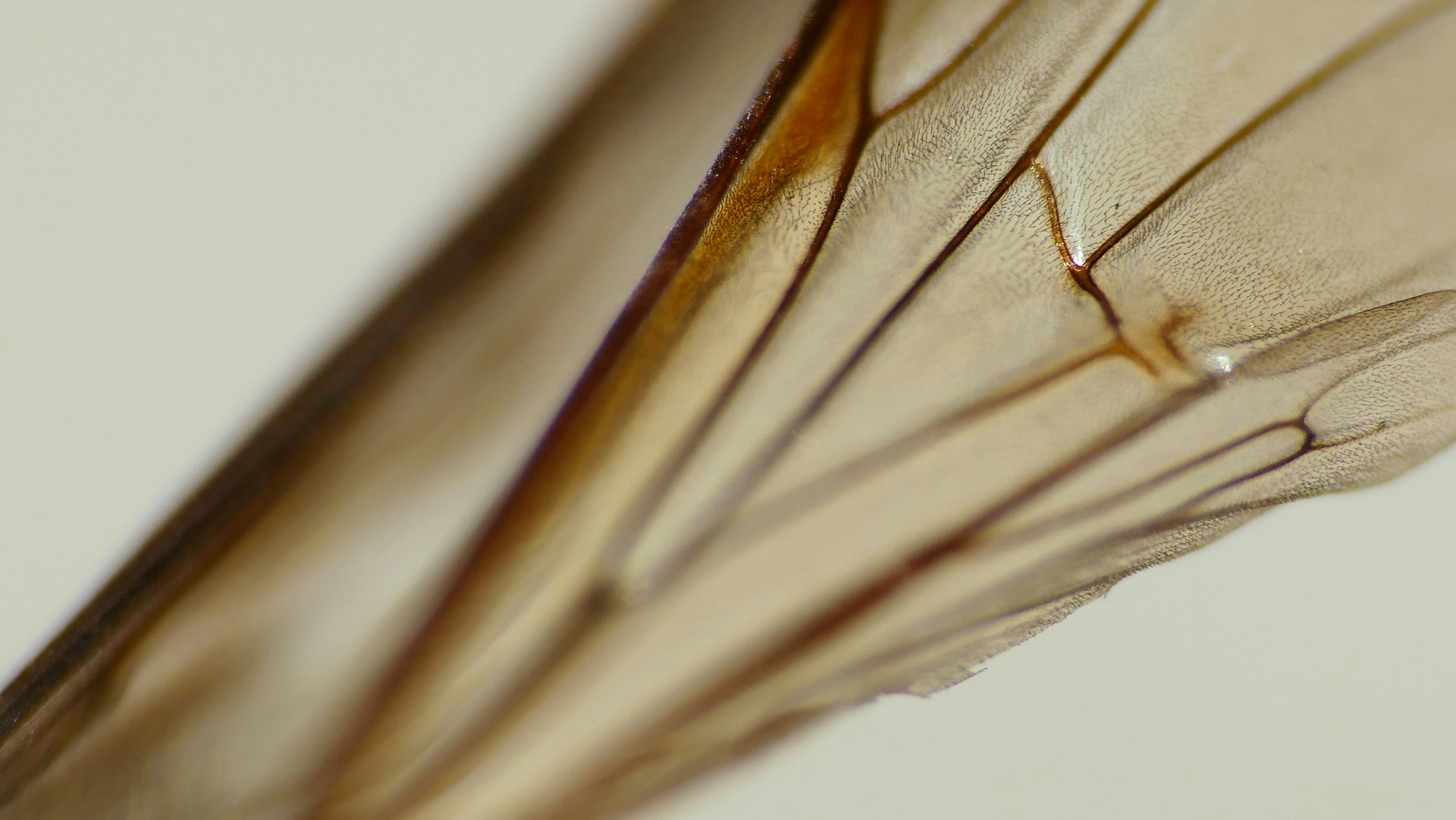 Photo by Marcus Lange with Panasonic Lumix FZ1000