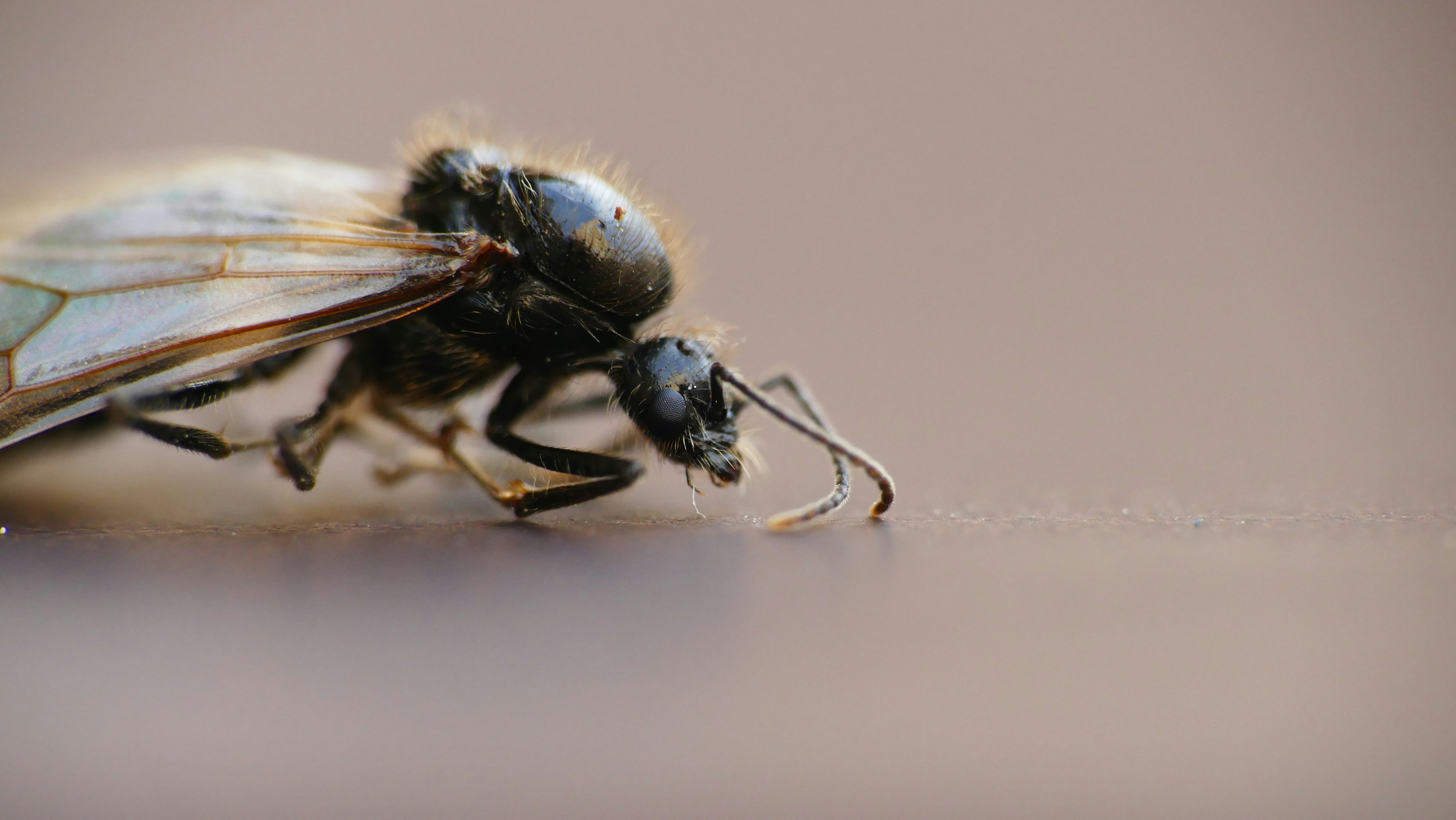 Photo by Marcus Lange with Panasonic Lumix FZ1000