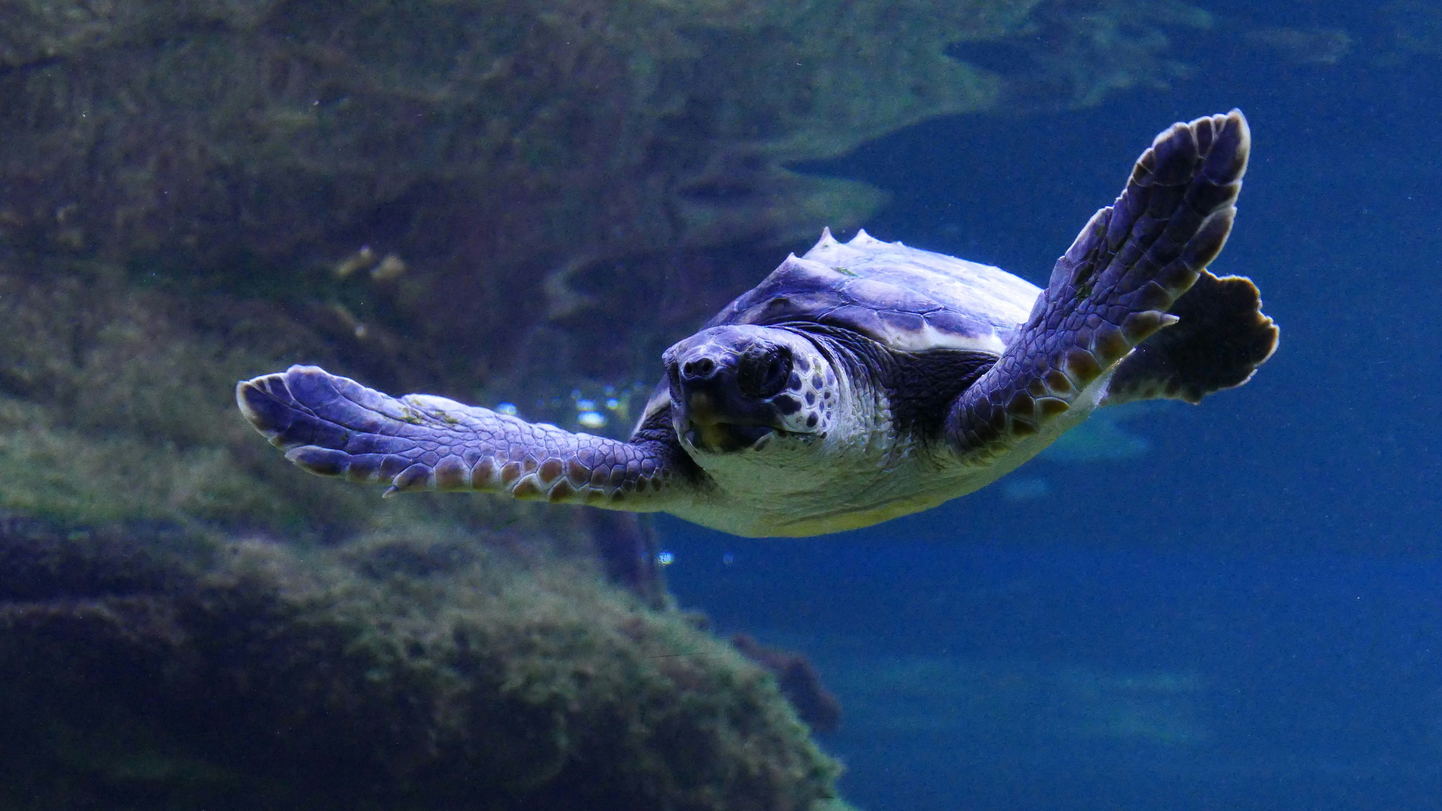 Photo by Marcus Lange with Panasonic Lumix FZ1000